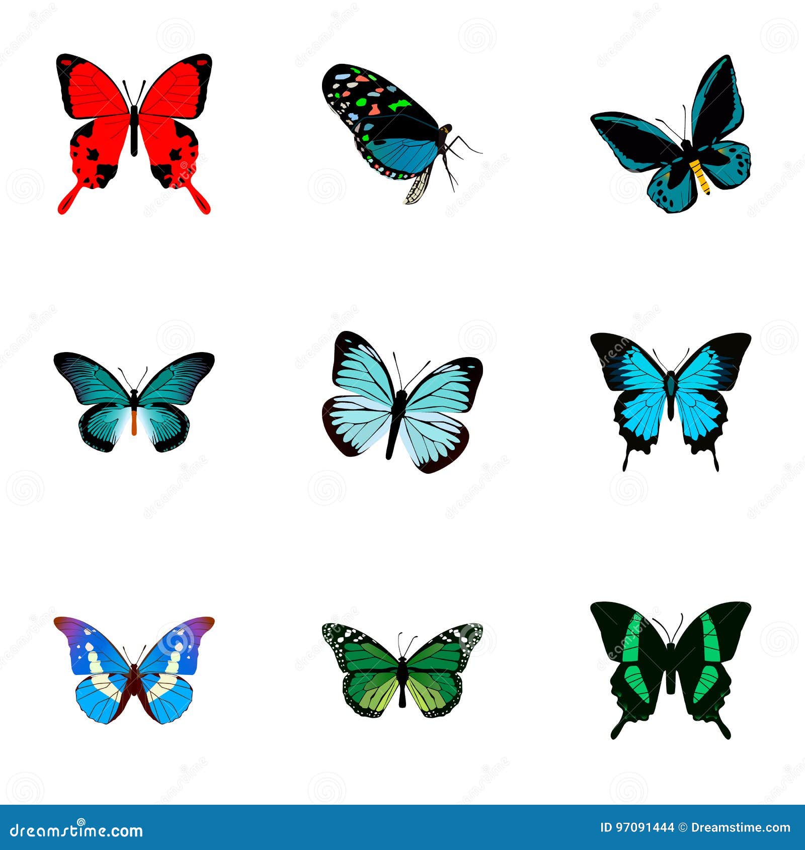 Realistic Demophoon, Pipevine, Sangaris and Other Vector Elements. Set ...