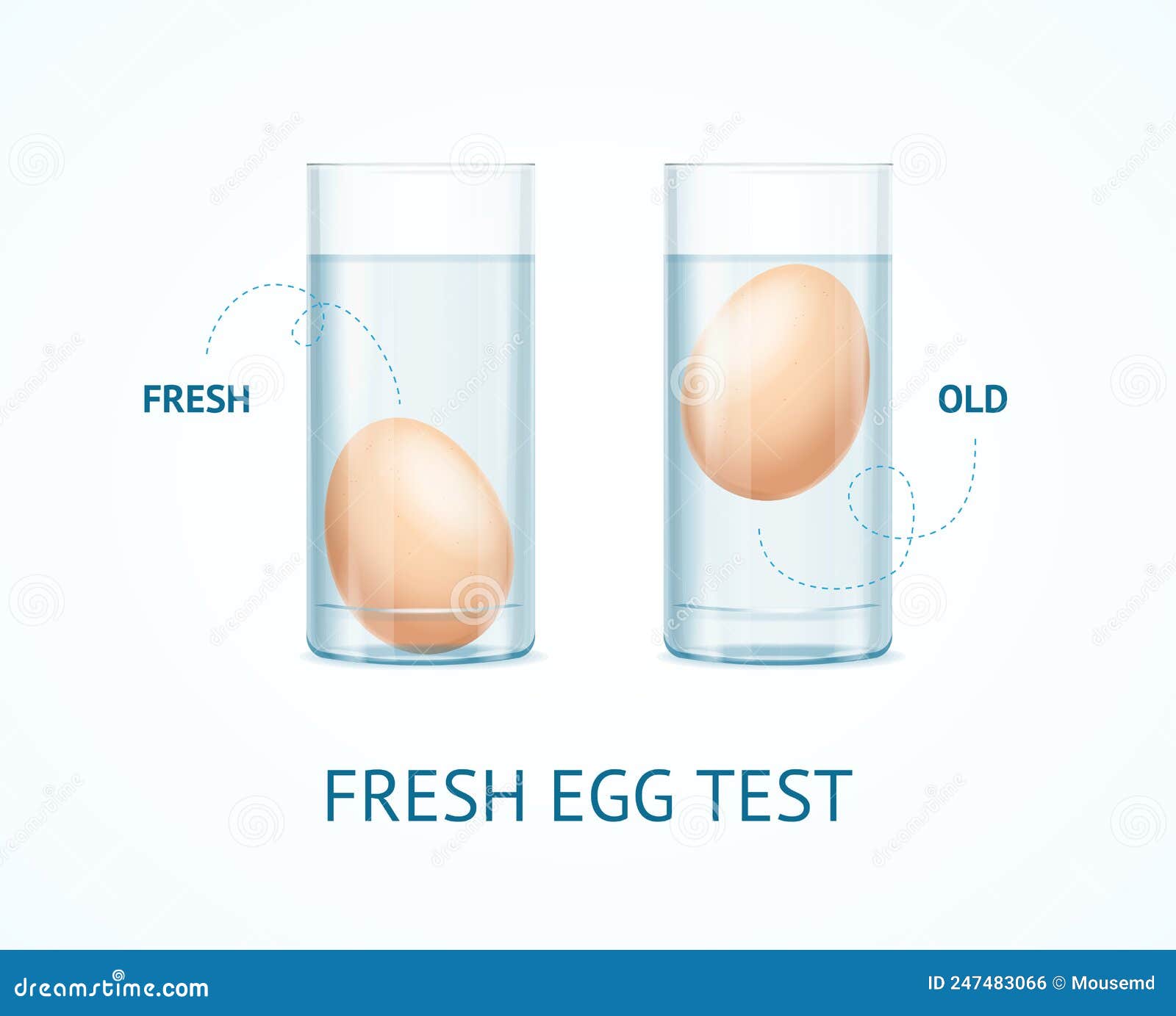 Fresh Egg Test. Finding Daily Fresh Eggs, Weekly Old And Stale Eggs ...