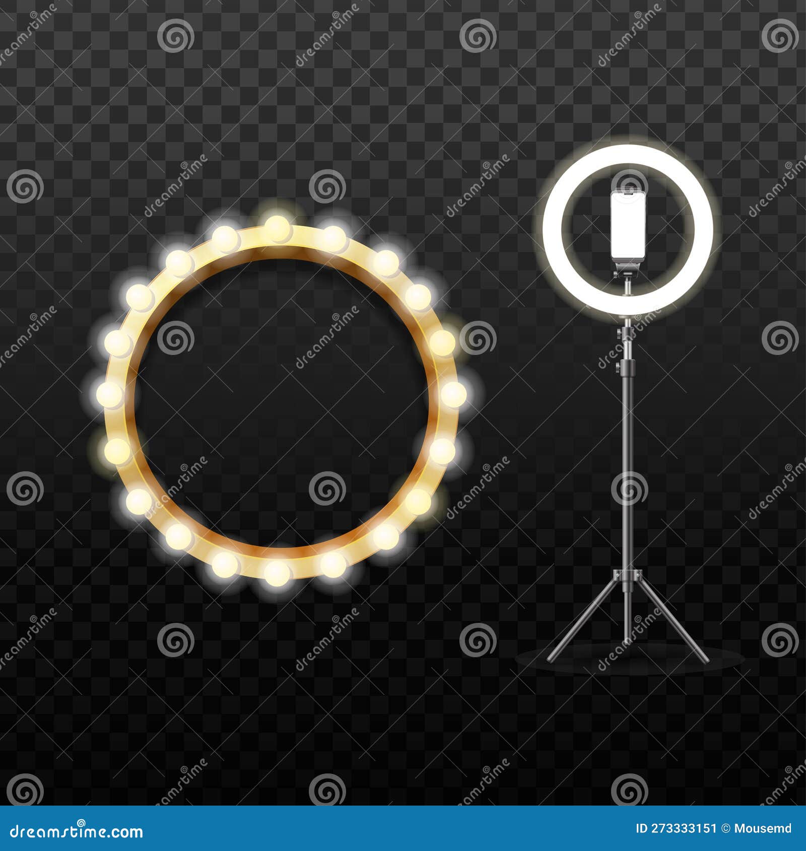 Realistic Detailed 3d Led Ring Lamp and Circle Mirror Set. Vector Stock ...
