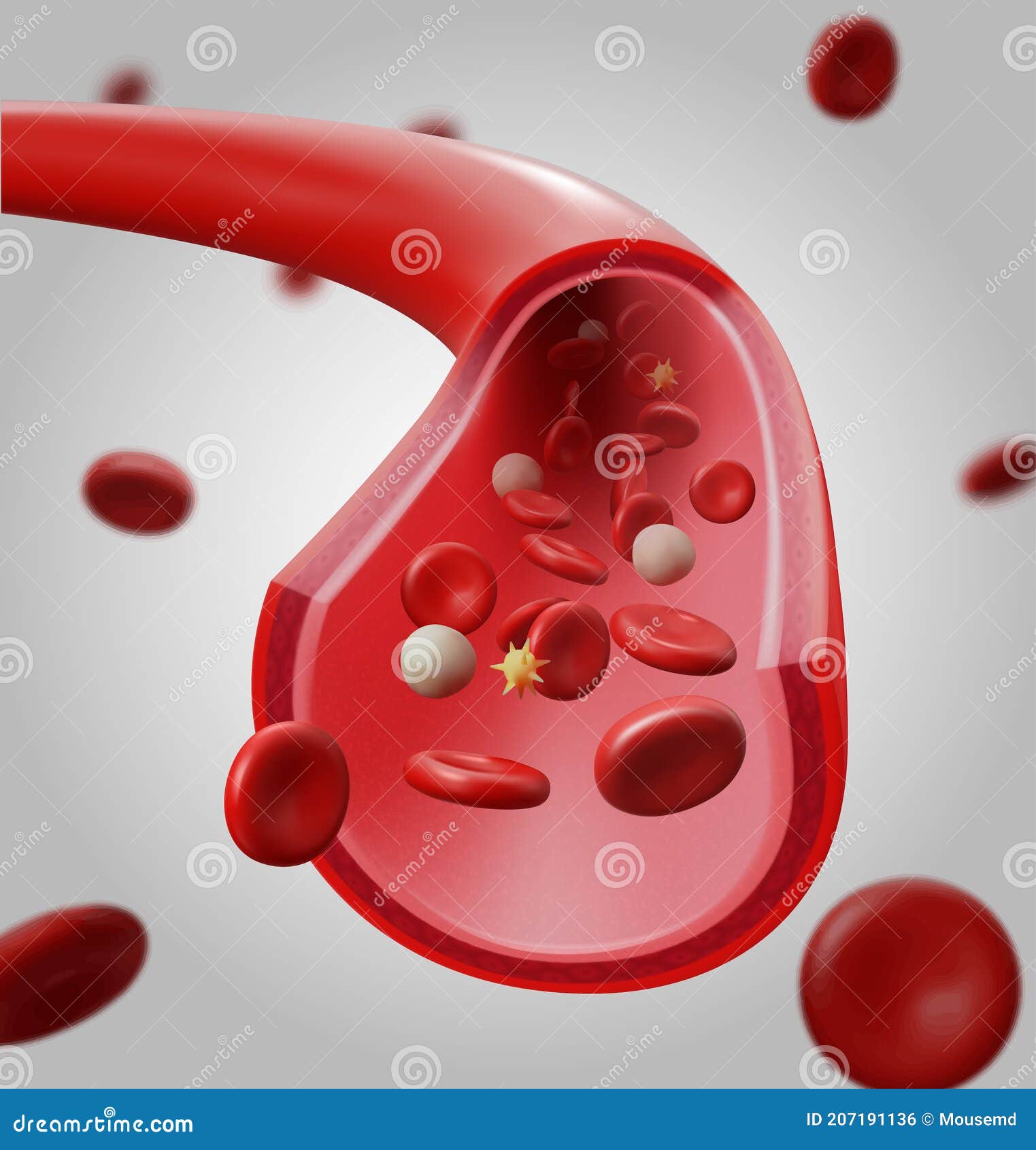 Realistic Detailed 3d Normal Blood Flow. Vector Stock Illustration ...