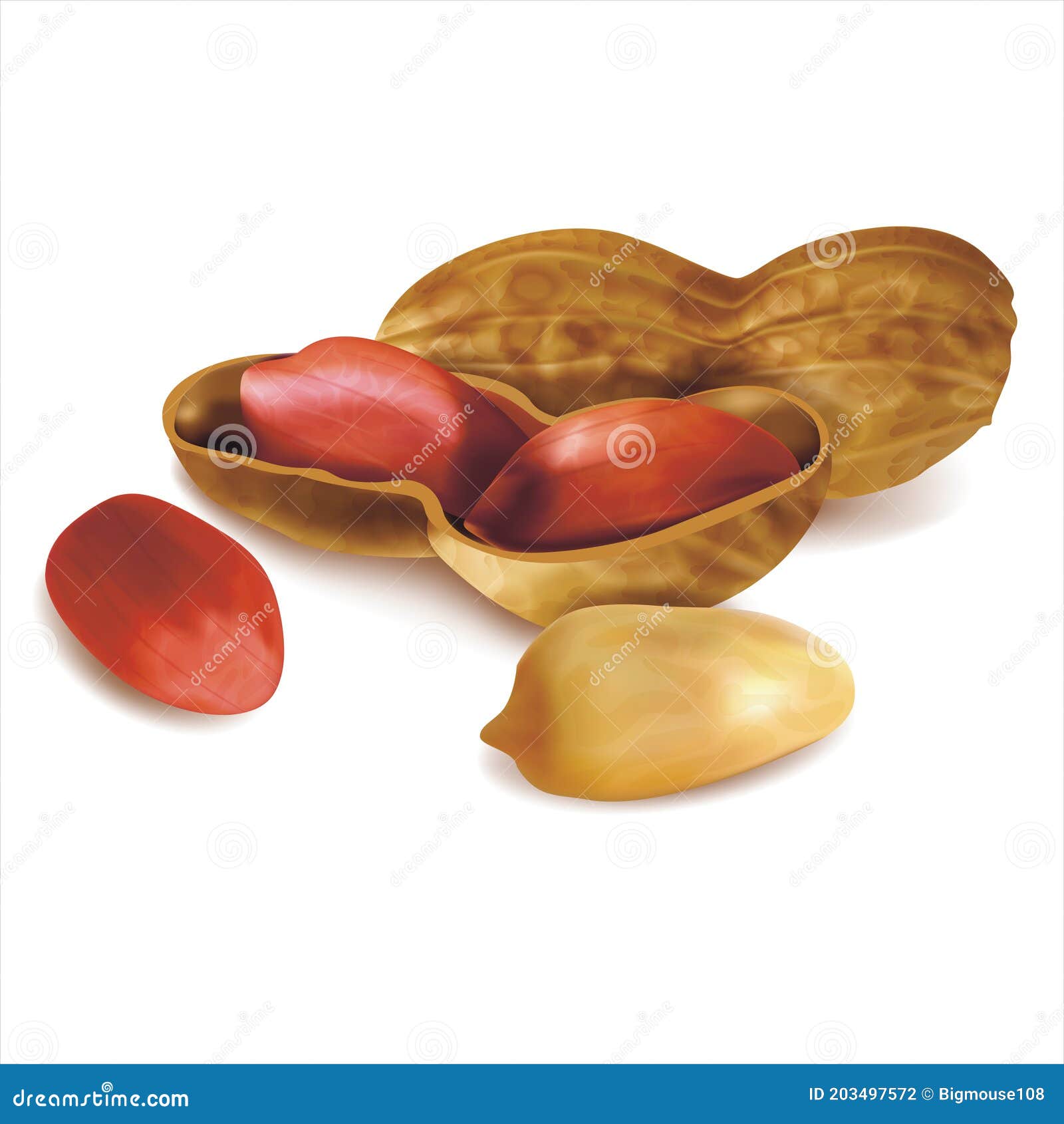 Realistic Detailed 3d Peanut in Nutshell Set. Vector Stock Vector ...