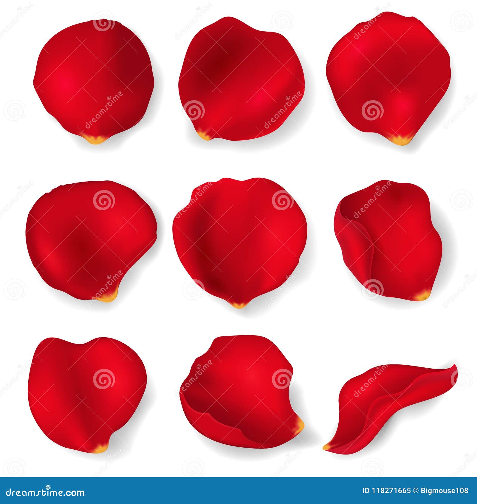 Realistic Detailed 3d Red Rose Petals Set. Vector Stock Vector ... Realistic Detailed 3d Red Rose Petals Set. Vector Stock Vector ...
