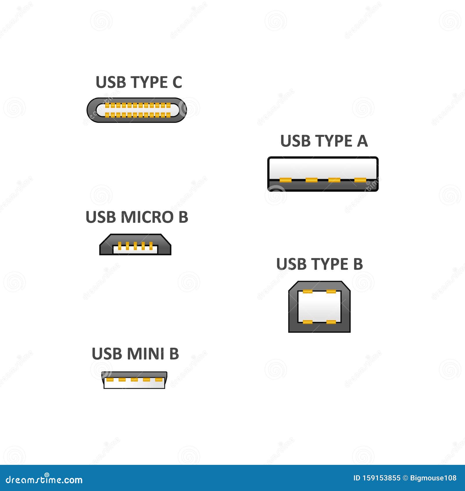 Realistic Detailed 3d USB Types Set with Inscription. Vector Stock ...