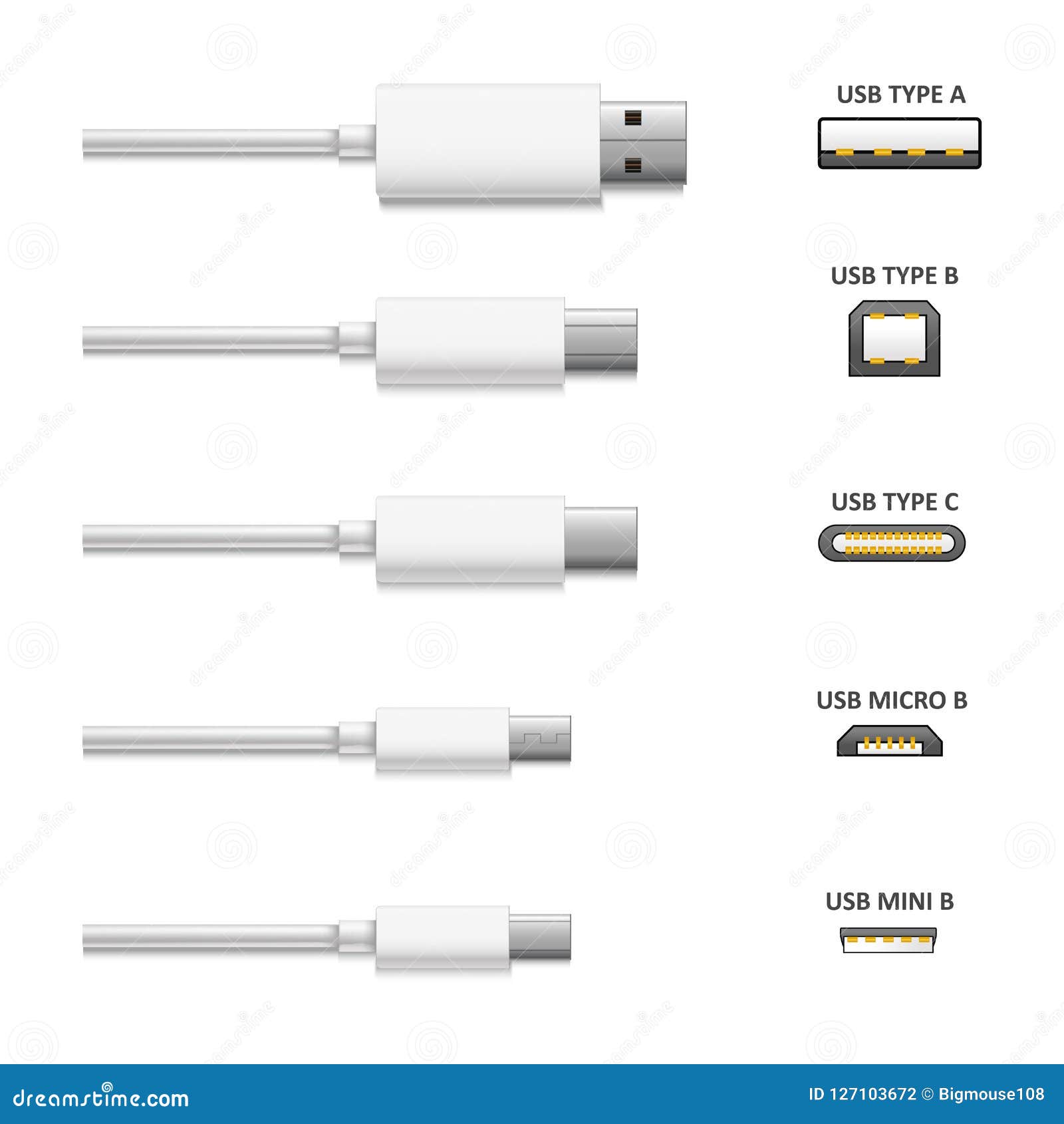Realistic Detailed 3d White USB Types Set. Vector Stock Vector ...