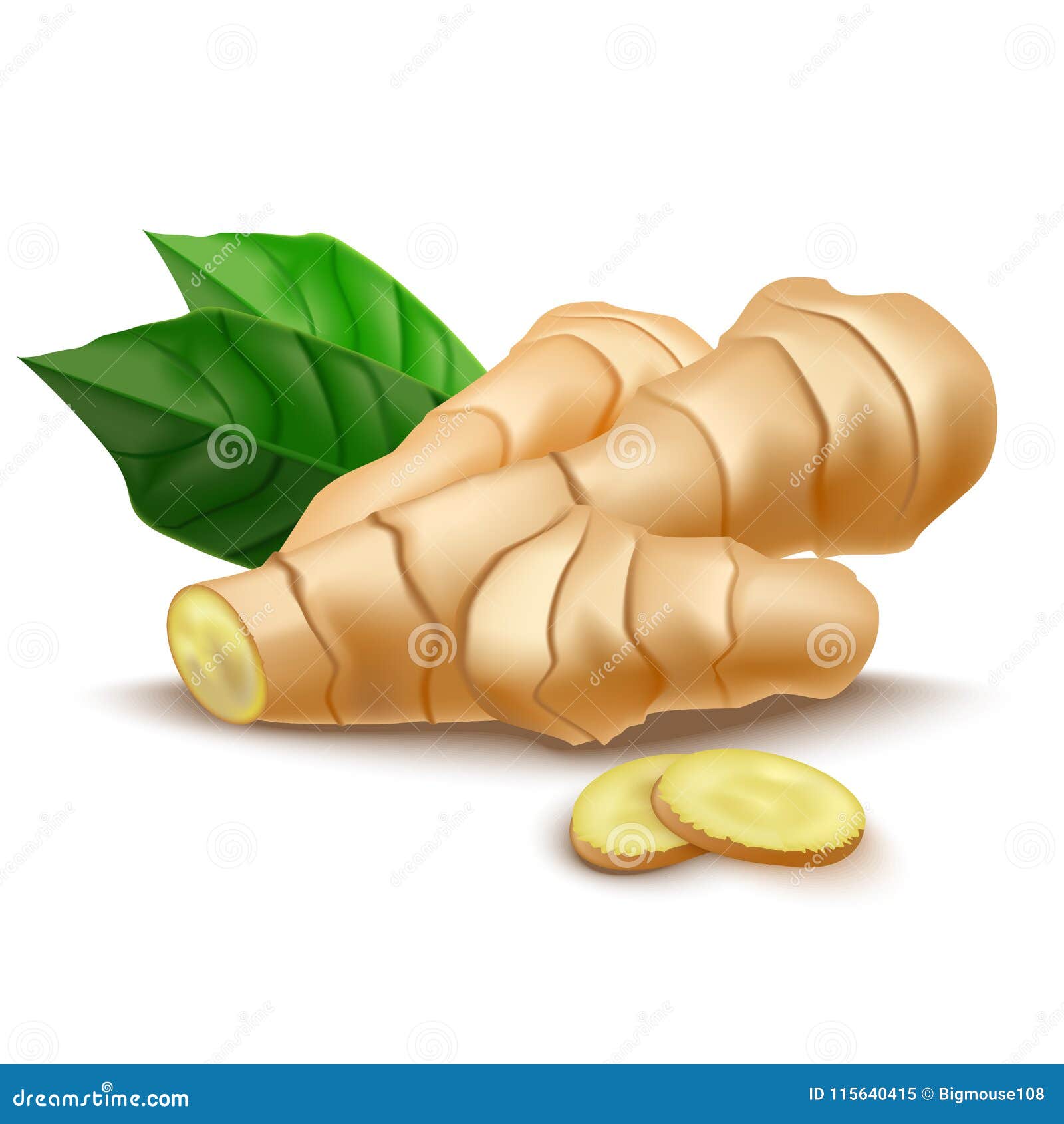 Realistic Detailed 3d Whole Ginger Root and Slices. Vector Stock Vector ... Realistic Detailed 3d Whole Ginger Root and Slices. Vector Stock Vector ...