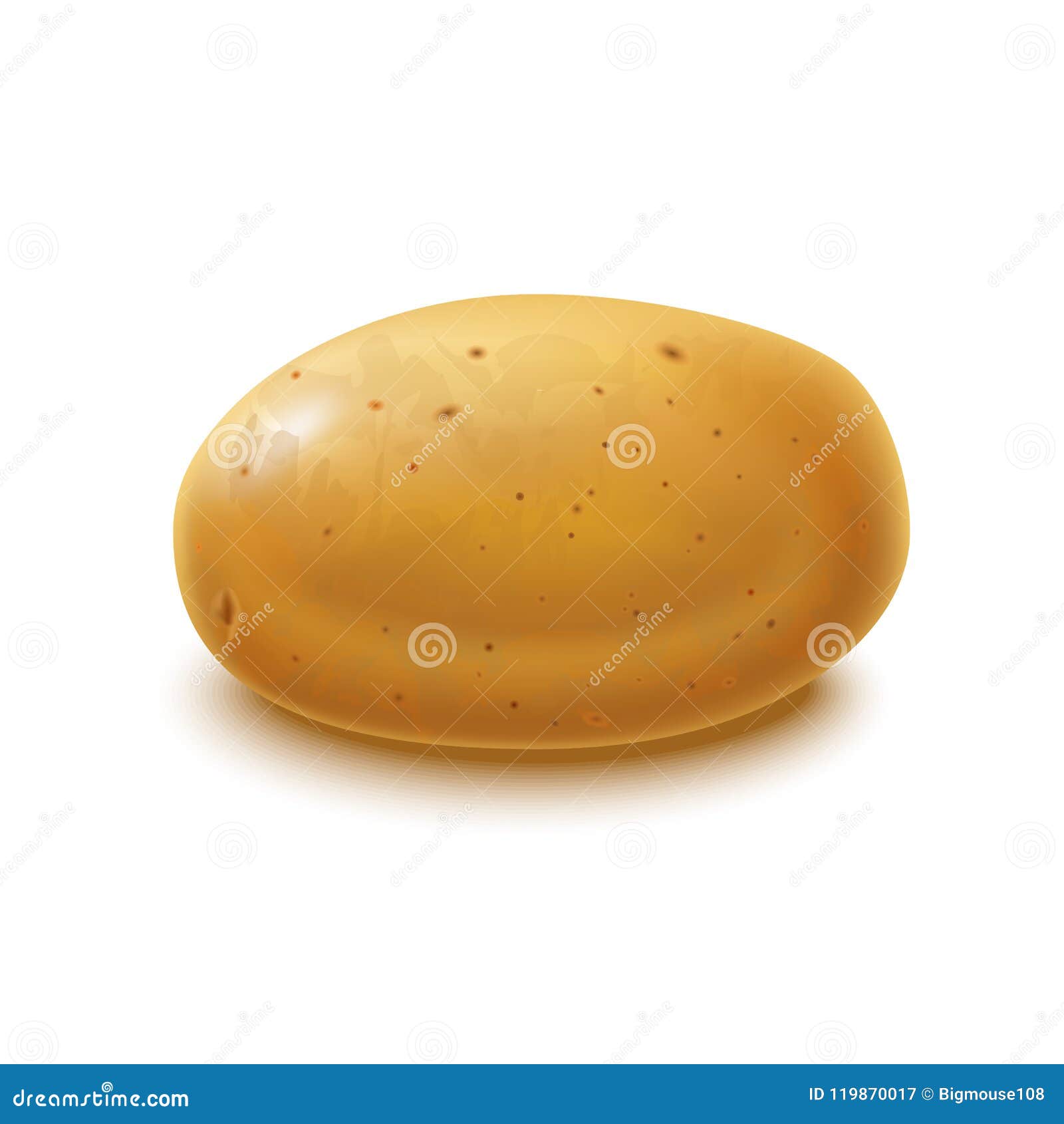 Realistic Detailed 3d Whole Potato. Vector Stock Vector - Illustration ... Realistic Detailed 3d Whole Potato. Vector Stock Vector - Illustration ...