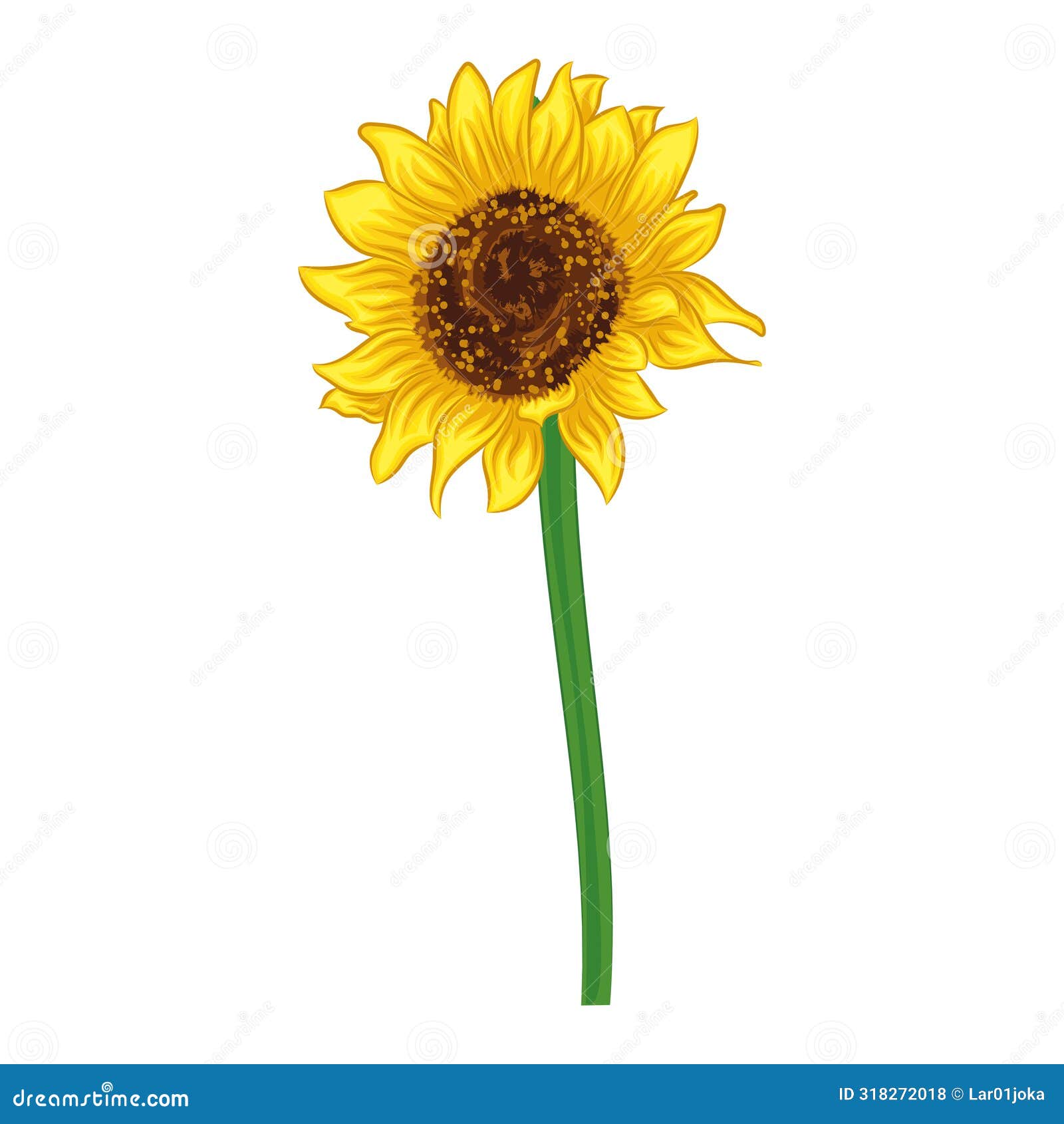 Realistic Detailed Sunflower Vector Stock Vector - Illustration of ...