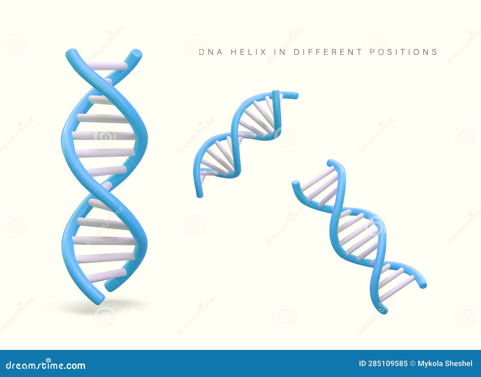 Realistic DNA Helix. Color Section of Long Code, View from Different ...