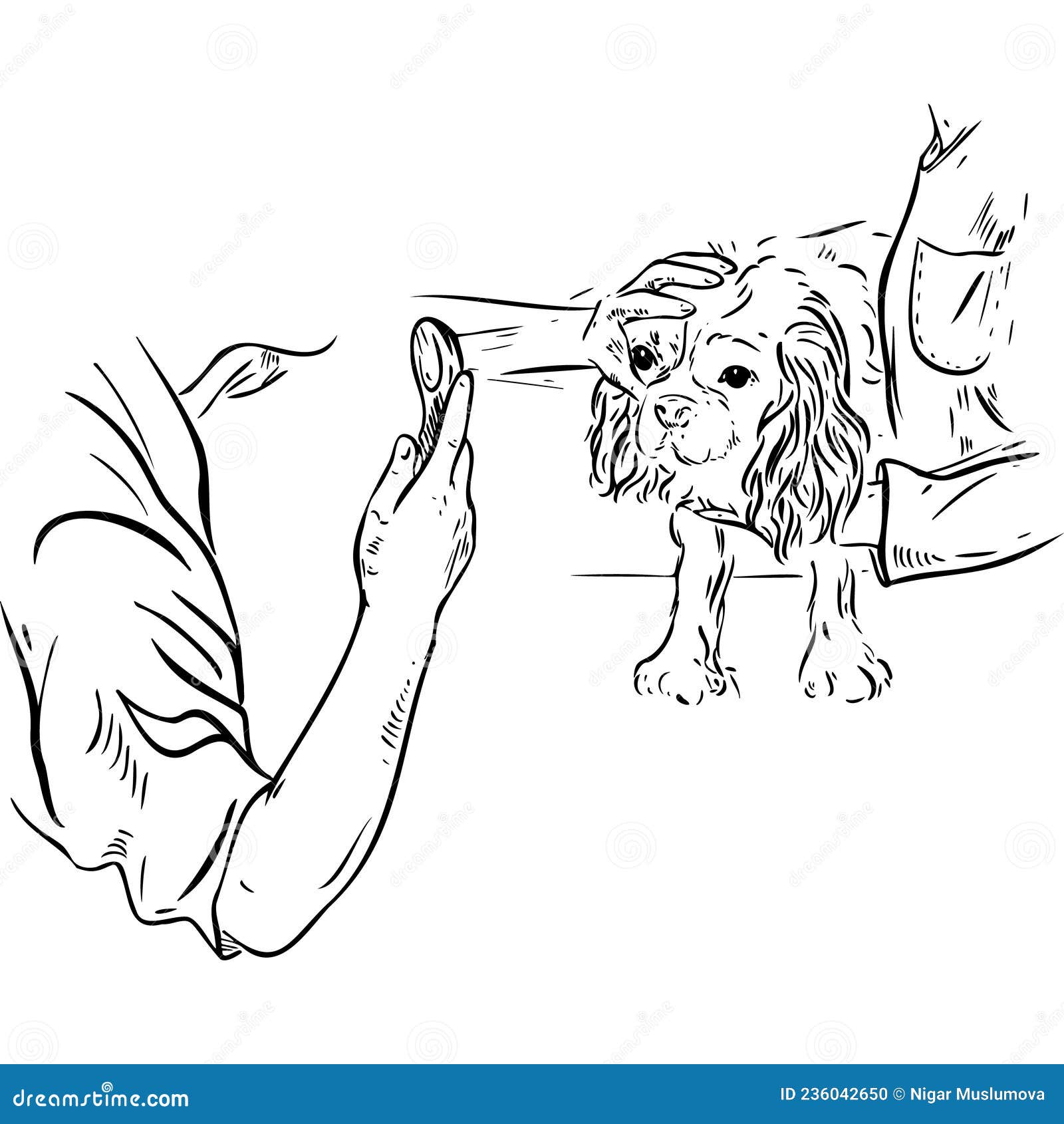 Realistic Drawing of a Dog on Examination Sketch Vector Illustration ...