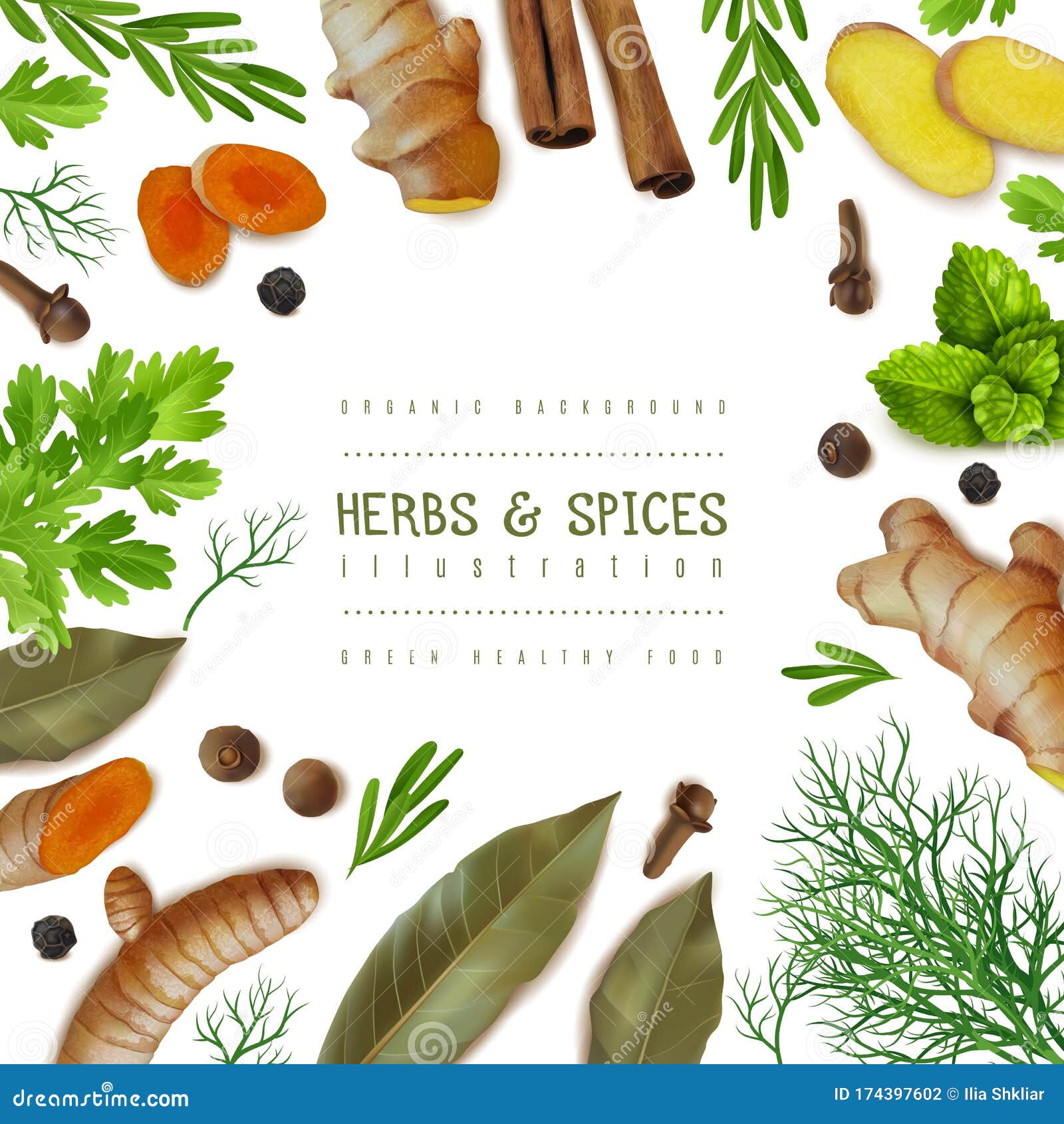 Realistic Dry Spices Roots Set Poster Stock Vector - Illustration of ...