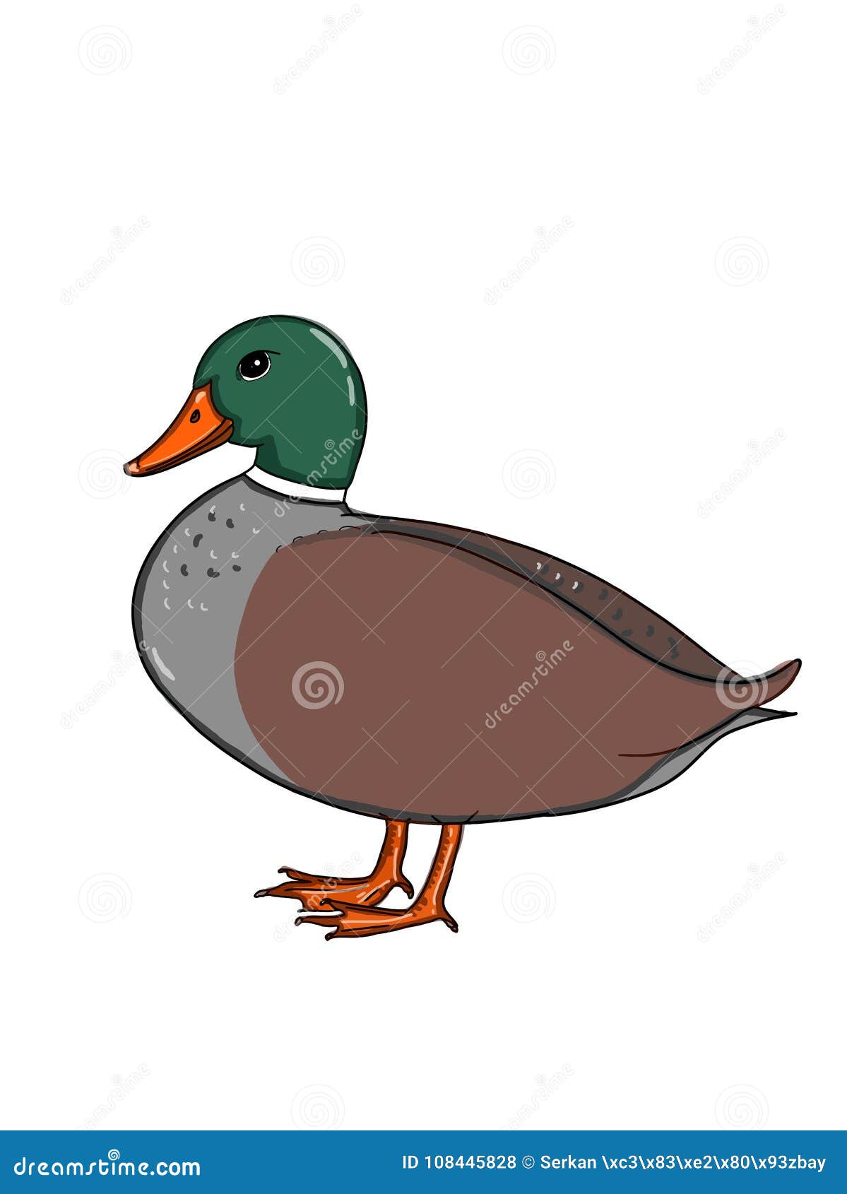 Realistic Duck Illustration Drawing Illustration Drawing Drawing ...