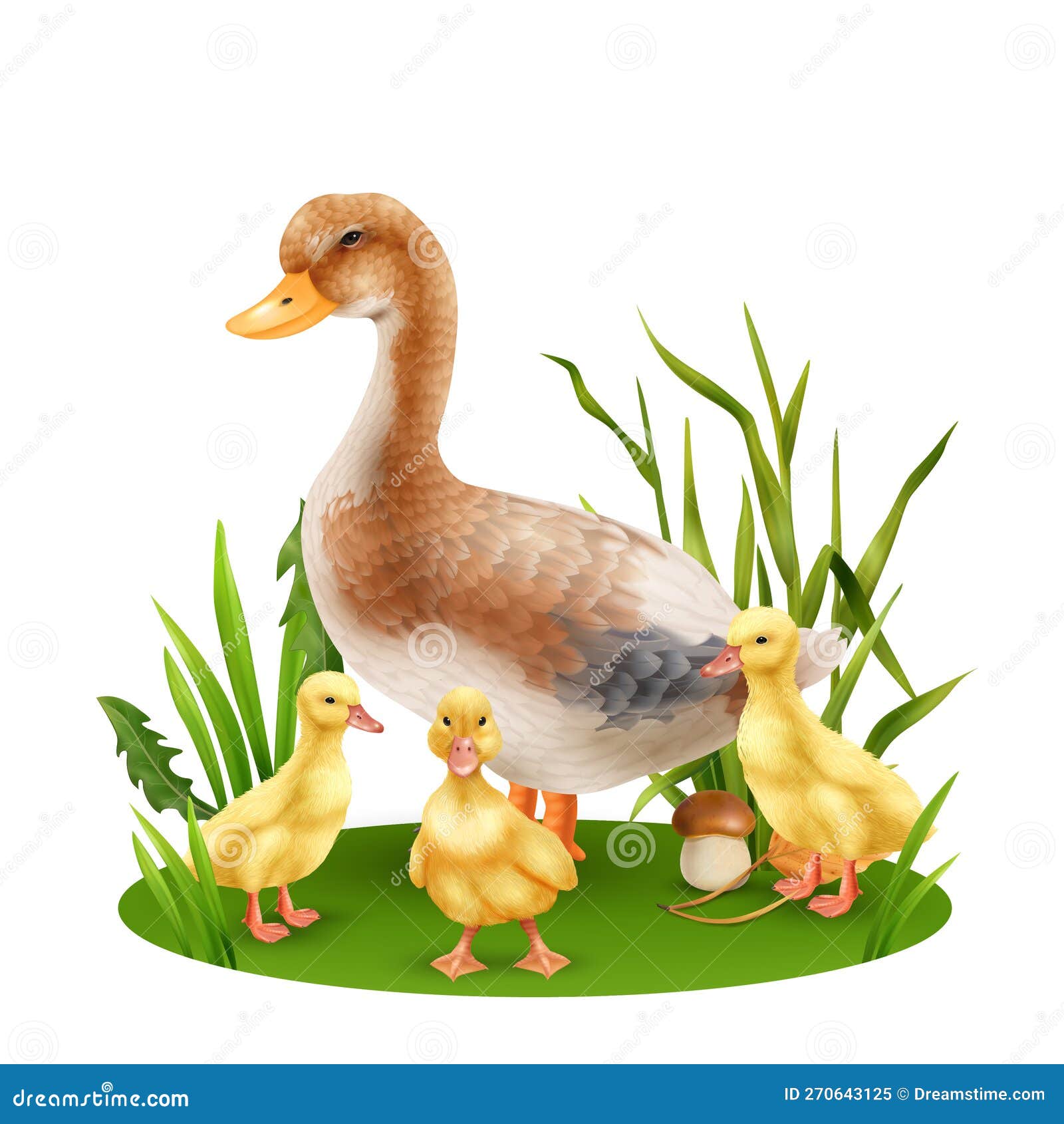 Realistic Duck Illustration Drawing Illustration Drawing Drawing ...