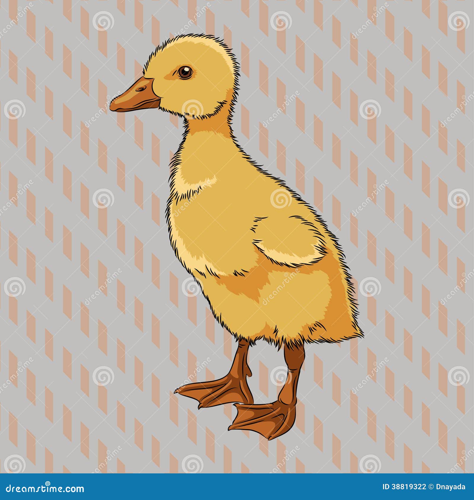 Realistic Duckling Side View Stock Vector - Illustration of fluffy ...