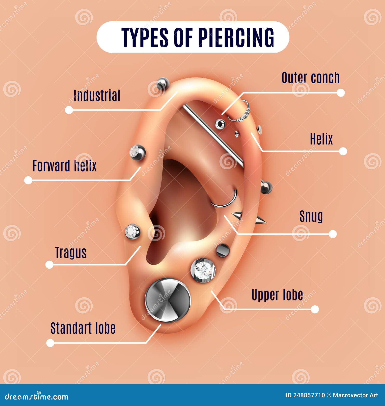 Realistic Ear Piercing stock vector. Illustration of layout - 248857710