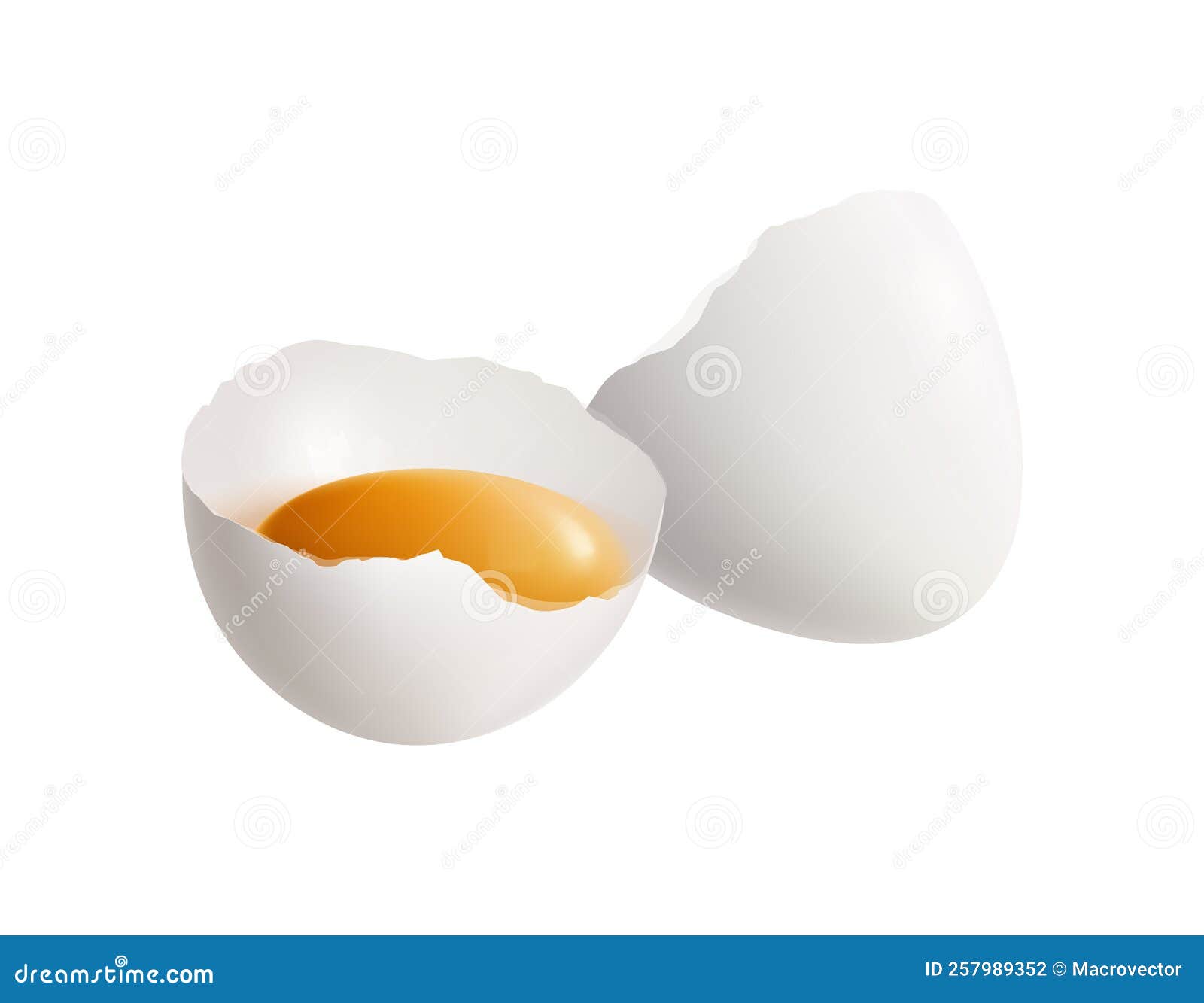 Realistic Eggshell Illustration Stock Vector - Illustration of ...