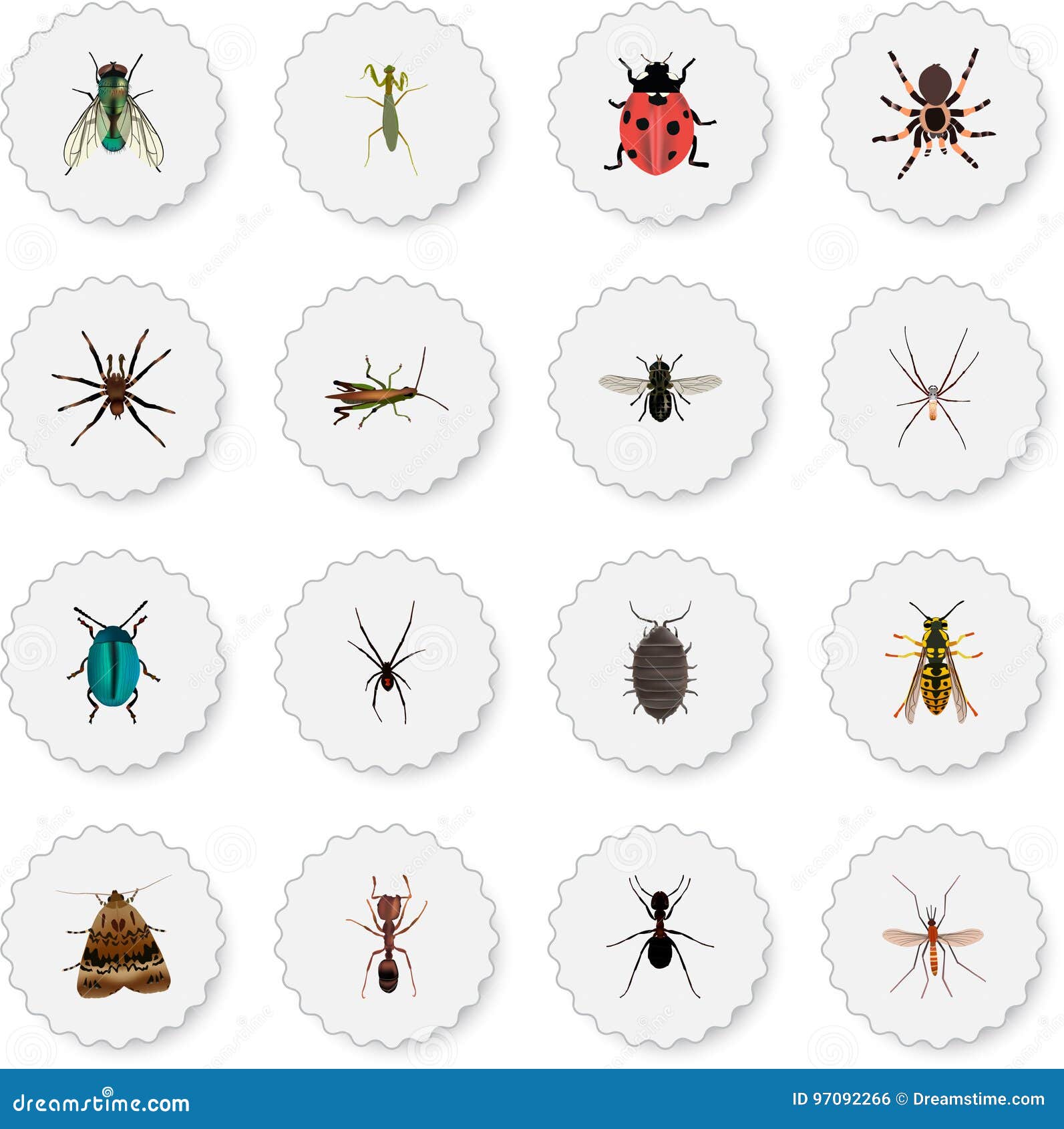 Realistic Emmet, Midge, Bee and Other Vector Elements. Set of Insect ...