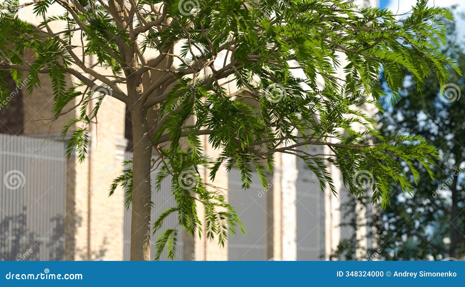 Realistic Evergreen Tree for Architectural Visualization Stock Photo ...