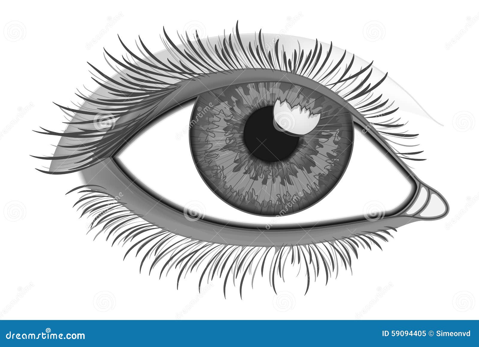 Realistic Eye Close-Up stock vector. Illustration of hand - 59094405