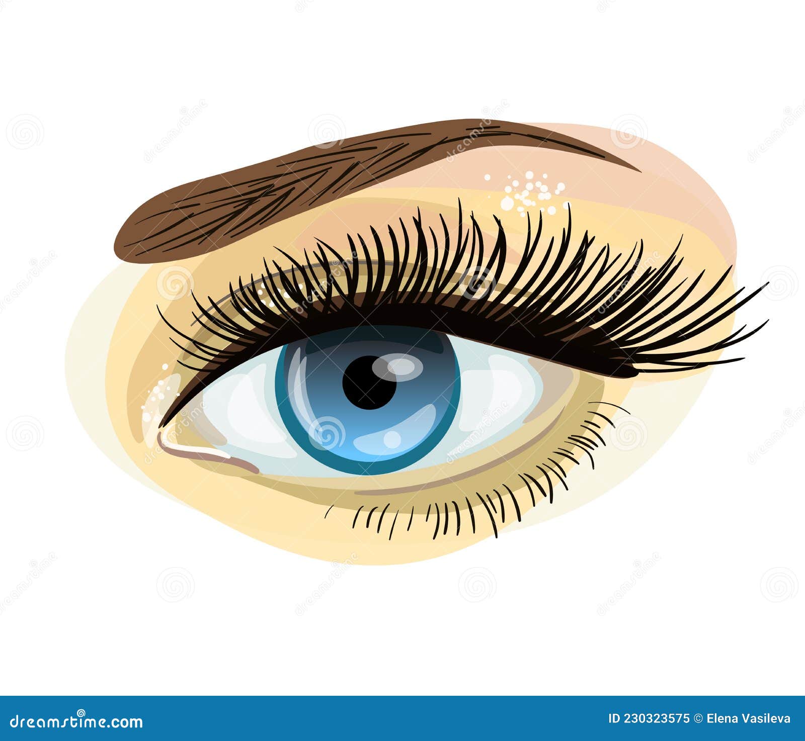 Realistic Eye Isolated on the White Background Stock Vector ...