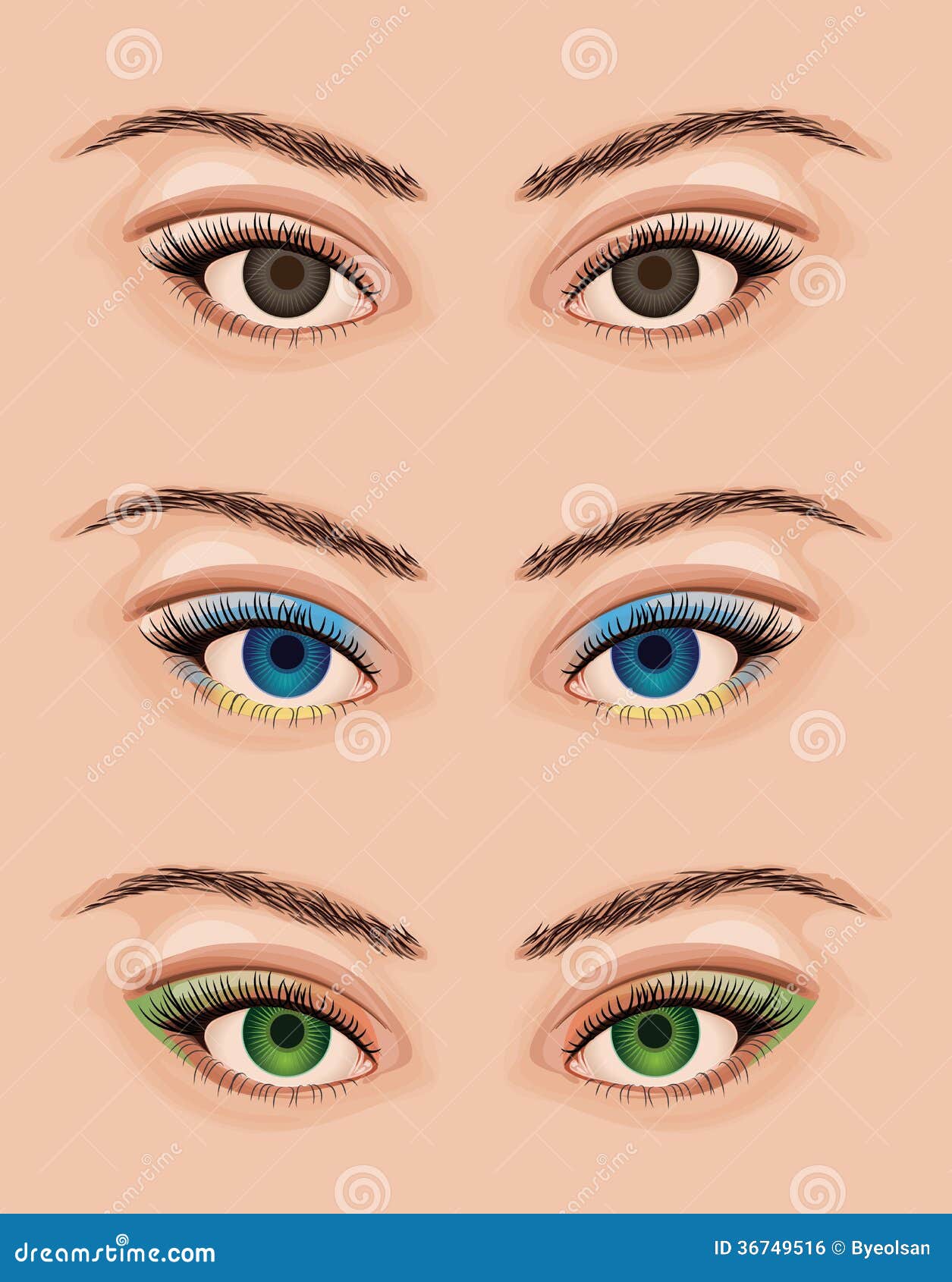 Realistic eyes stock vector. Illustration of vision, makeup - 36749516
