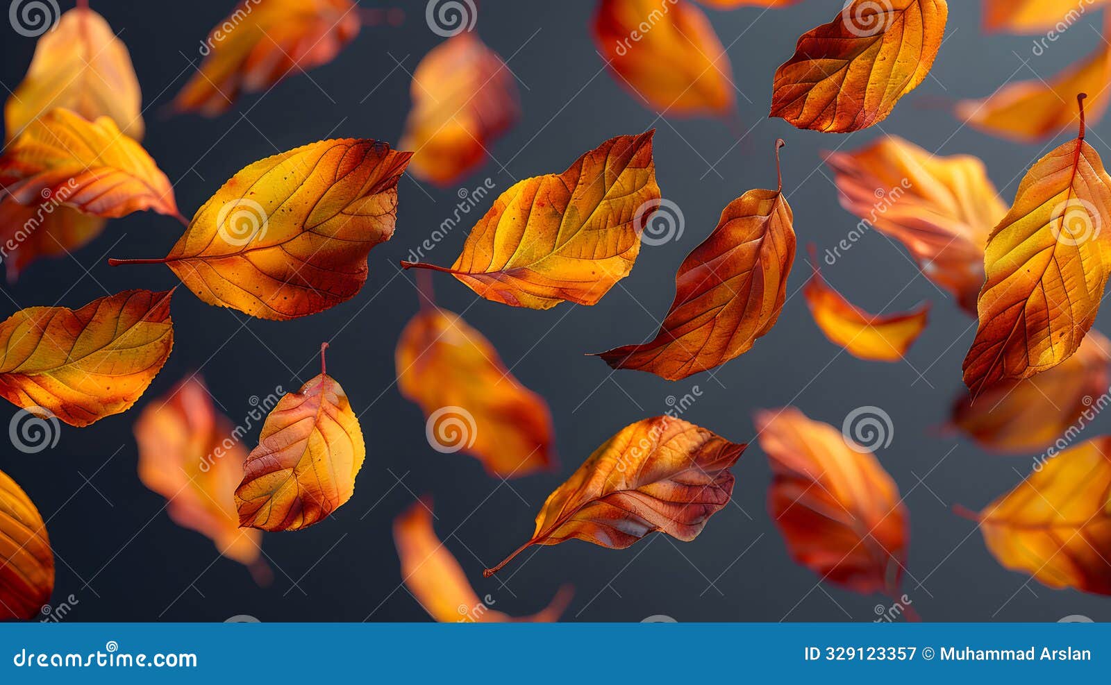 Realistic falling leaves stock image. Image of nature - 329123357