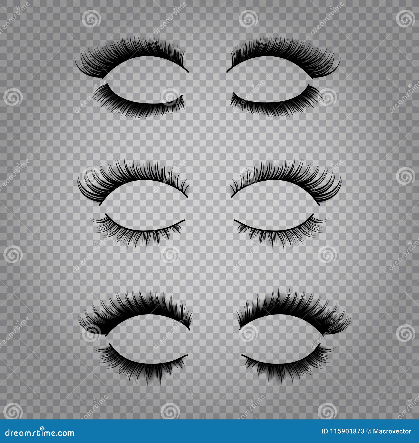Realistic False Eye Lashes Set Cartoon Vector | CartoonDealer.com ...