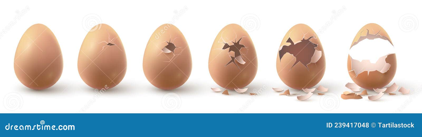 Egg Hatching Stages