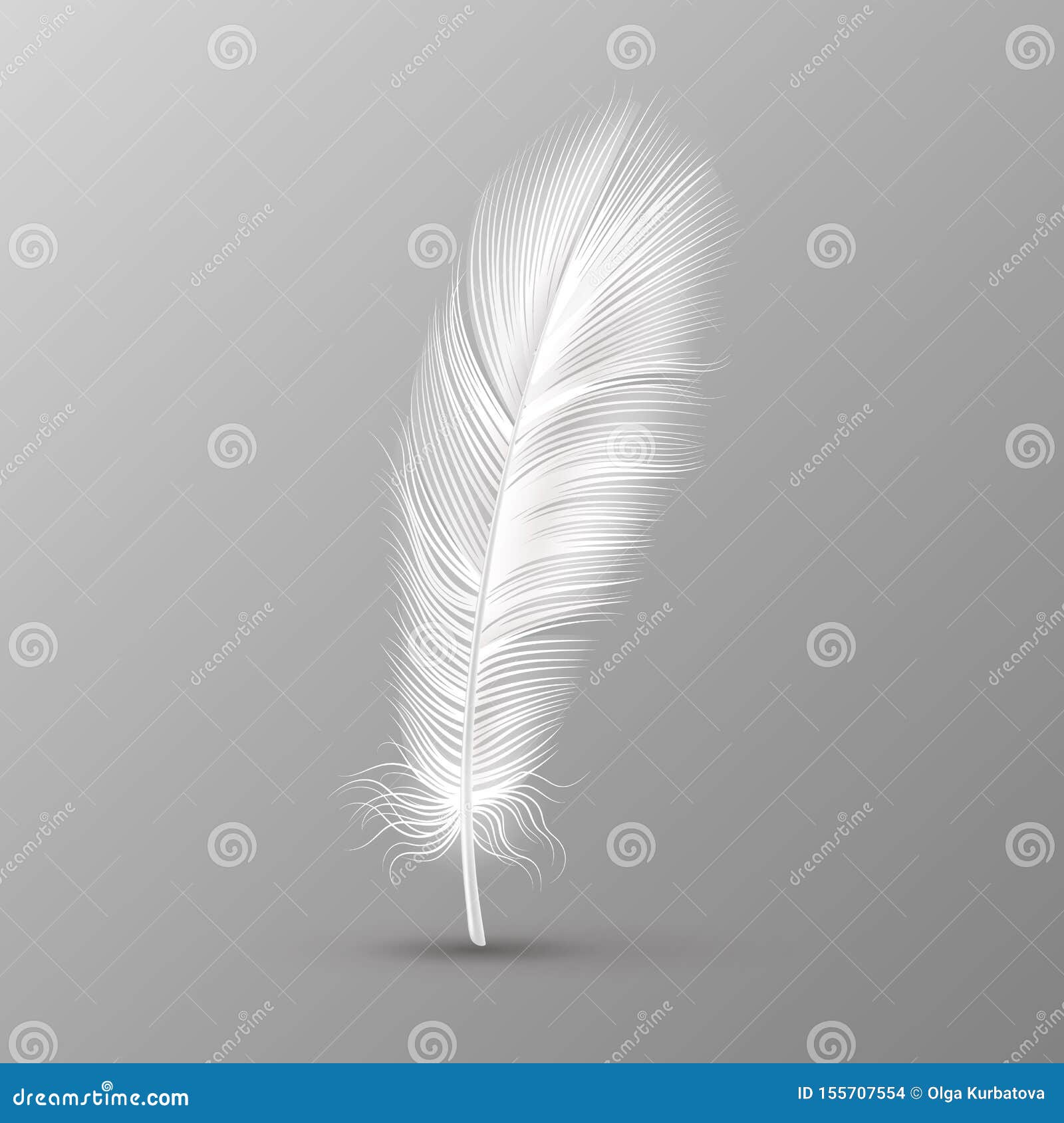 Realistic Feather. Single White Soft Bird Wings Smooth Fluff on ...