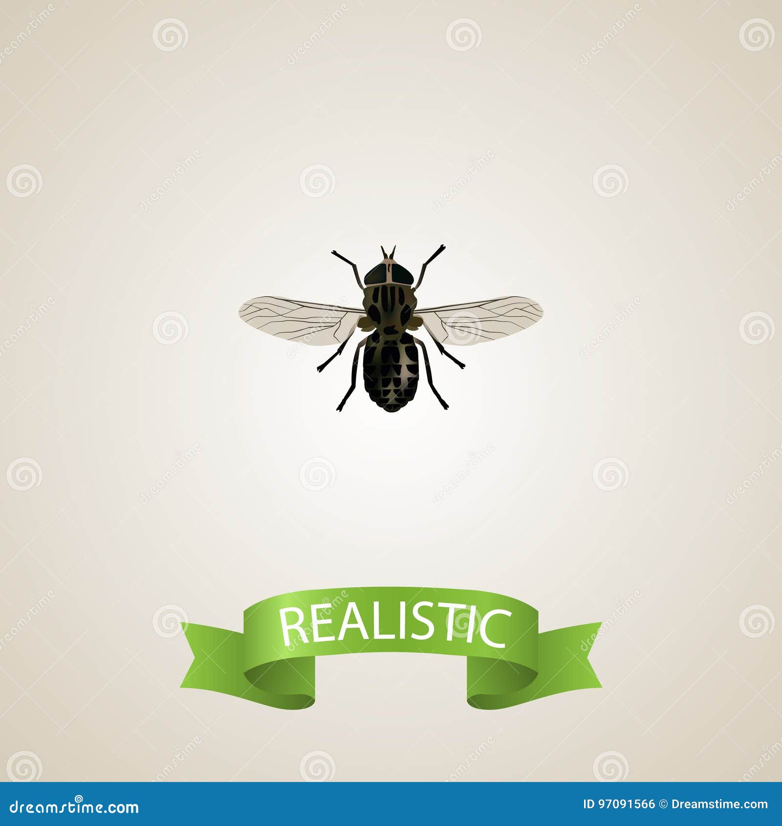 Realistic Fly Element. Vector Illustration of Realistic Midge Isolated ...