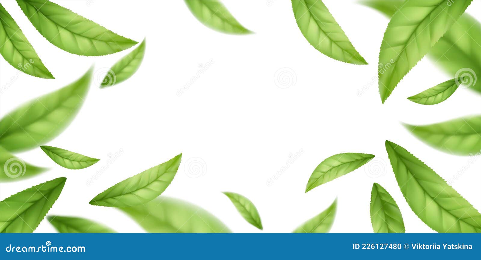 Realistic Flying Falling Green Tea Leaves Isolated on White Background ...