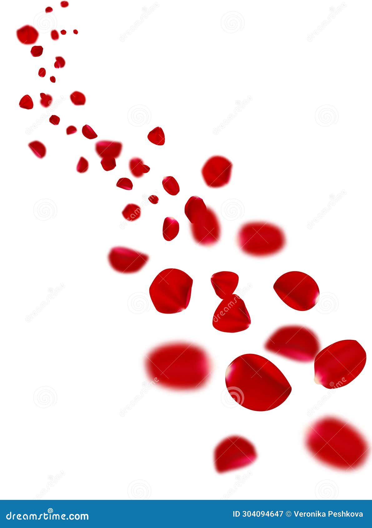Realistic Flying Red Rose Petals on White Background. Stock ...