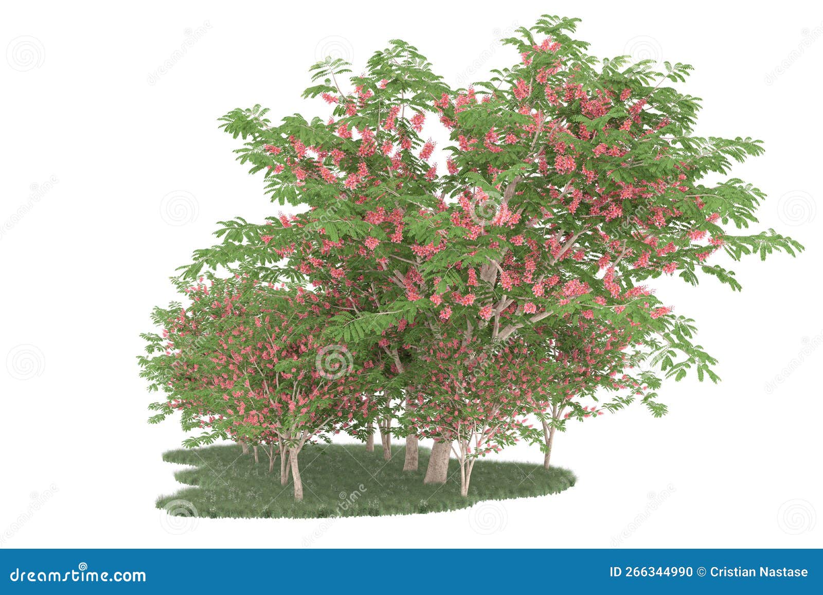 Realistic Forest Island on Transparent Background. 3d Rendering ...