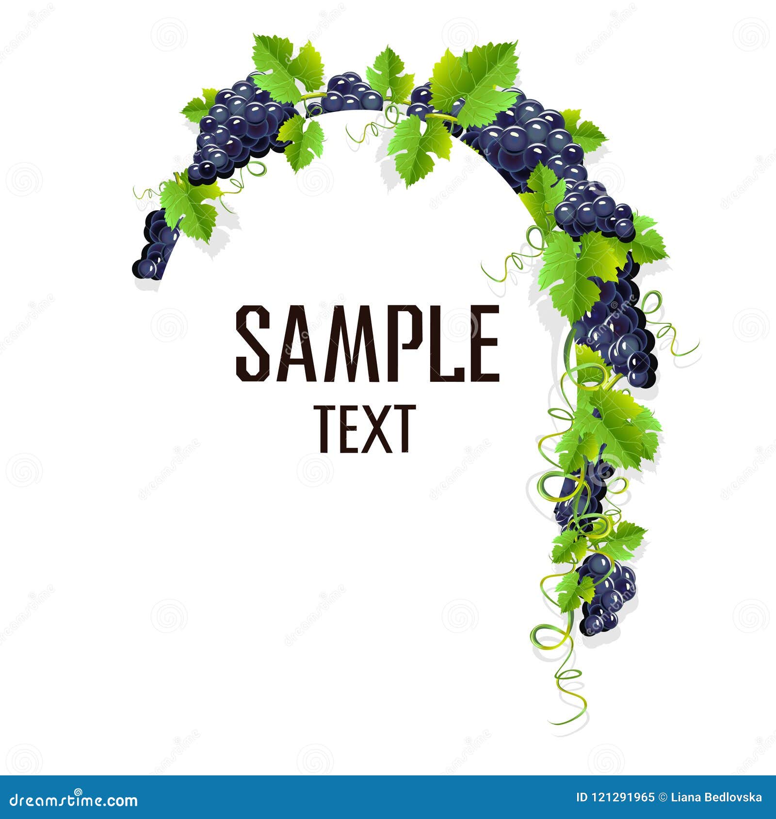 A Realistic Frame with Black Grapes Stock Vector - Illustration of ...