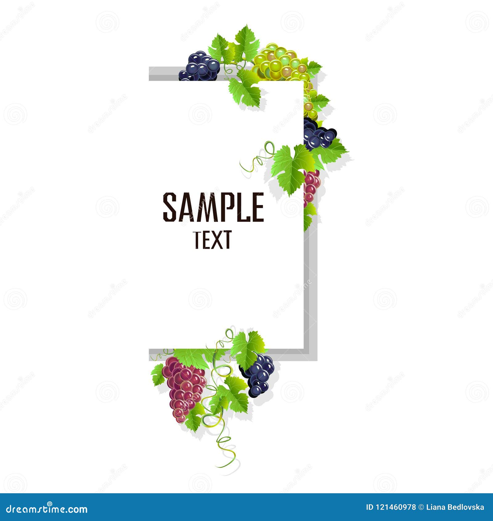 A Realistic Frame with Black Grapes Stock Vector - Illustration of ...