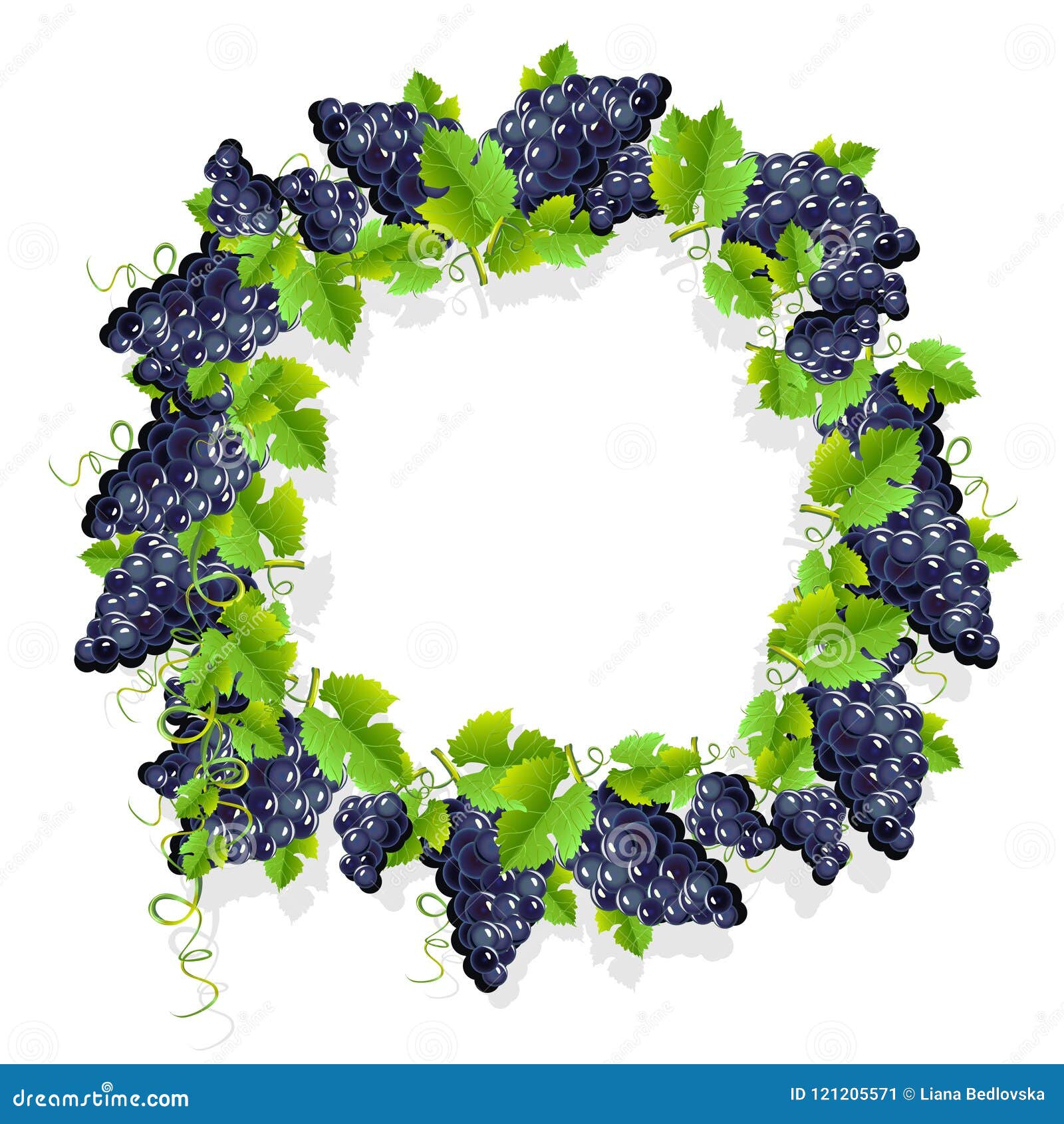 A Realistic Frame with Black Grapes Stock Vector - Illustration of ...