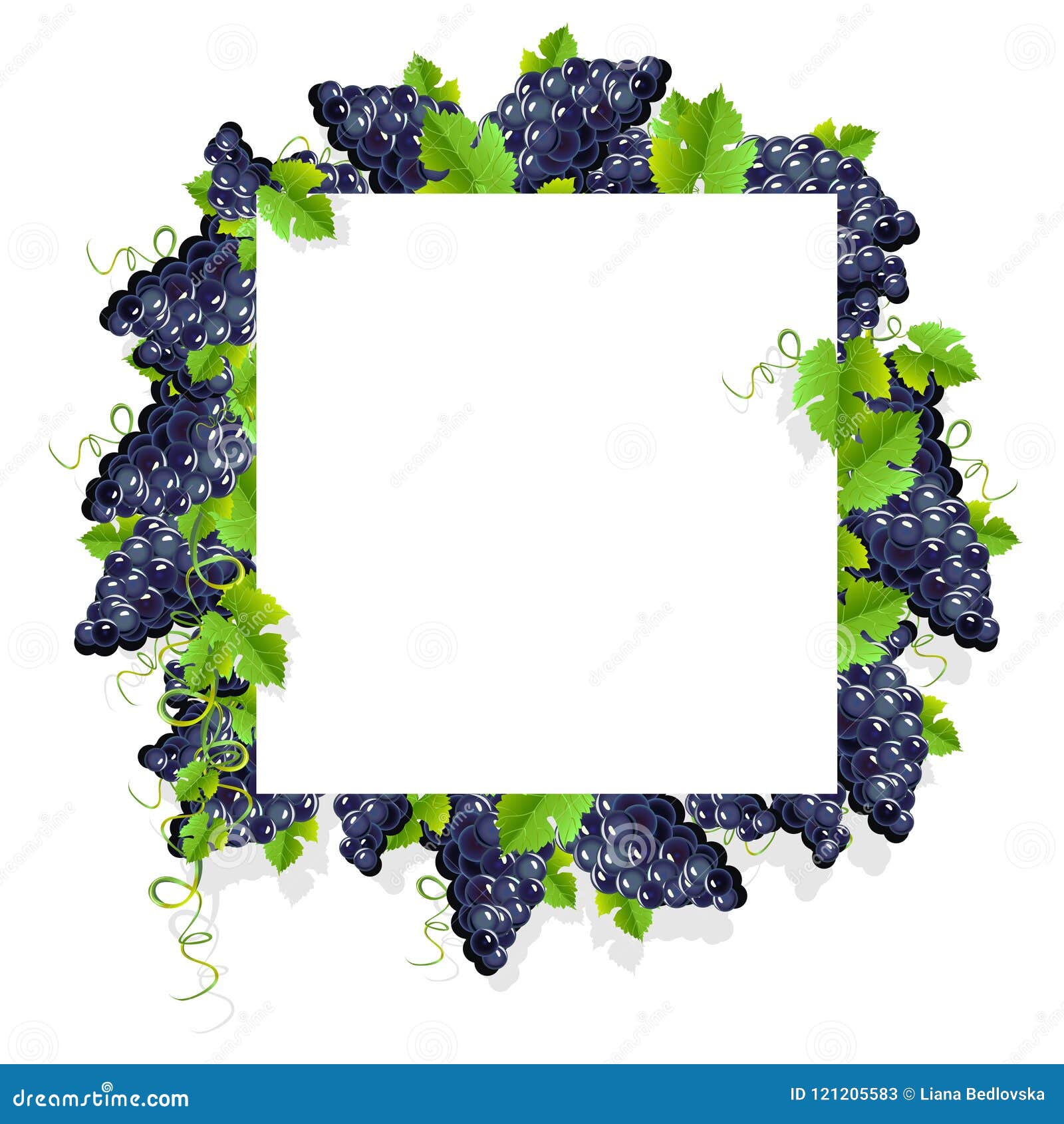 A Realistic Frame with Black Grapes Stock Vector - Illustration of ...