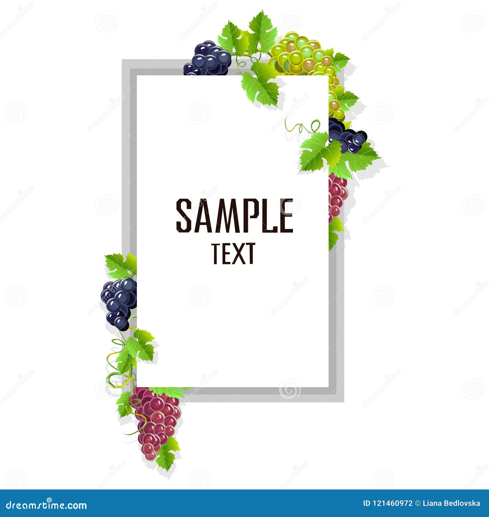A Realistic Frame with Black Grapes Stock Vector - Illustration of idea ...