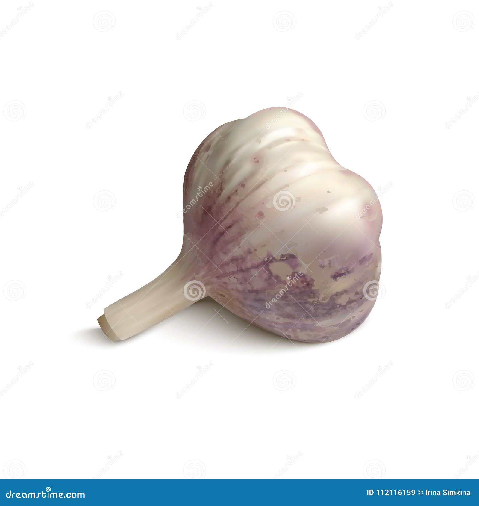 Garlic. Side View Of A Clove Of Garlic In The Husk. Sketch. Vegetable ...