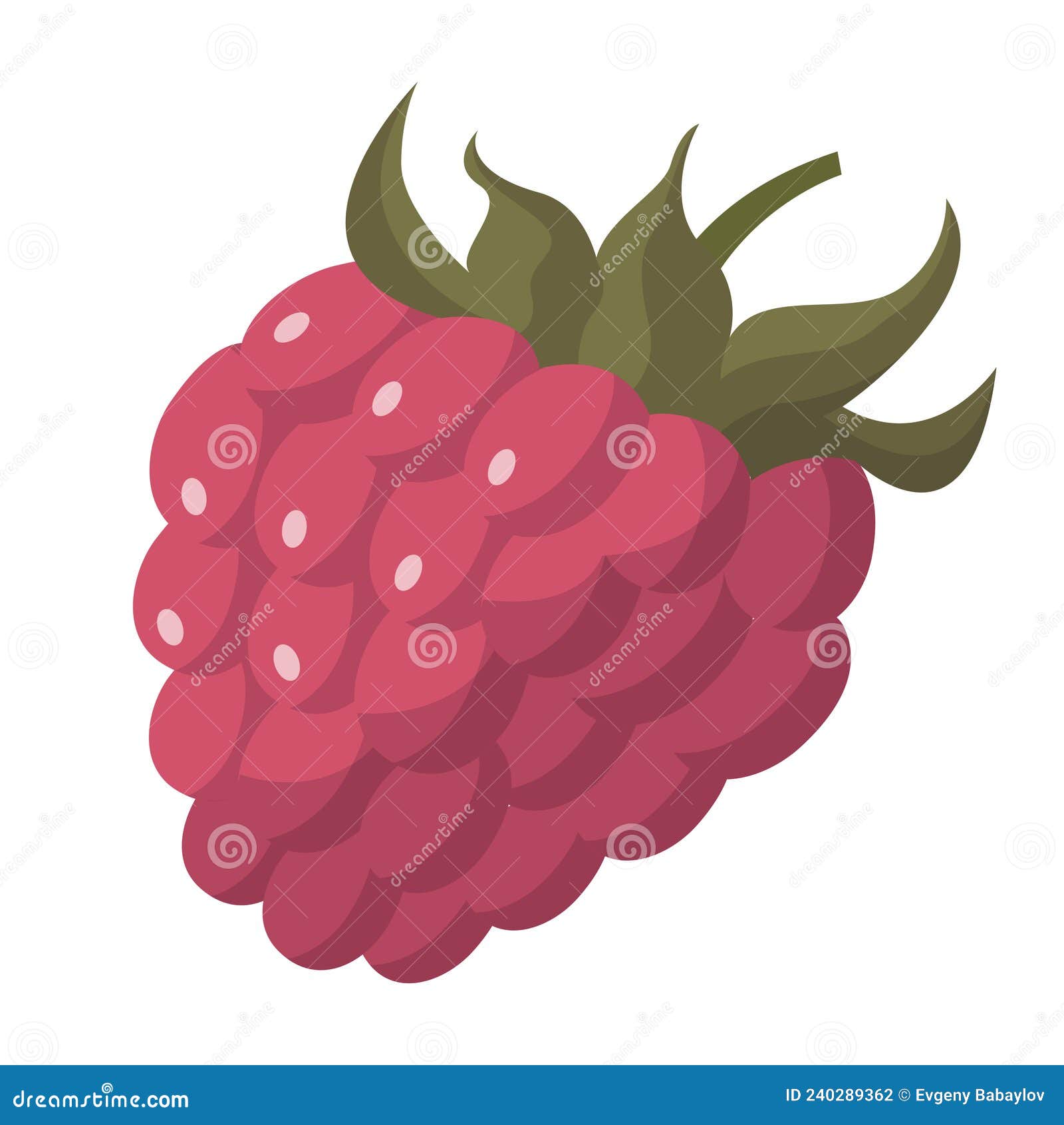 Realistic Fresh Red Raspberry Isolated on White Background - Vector ...