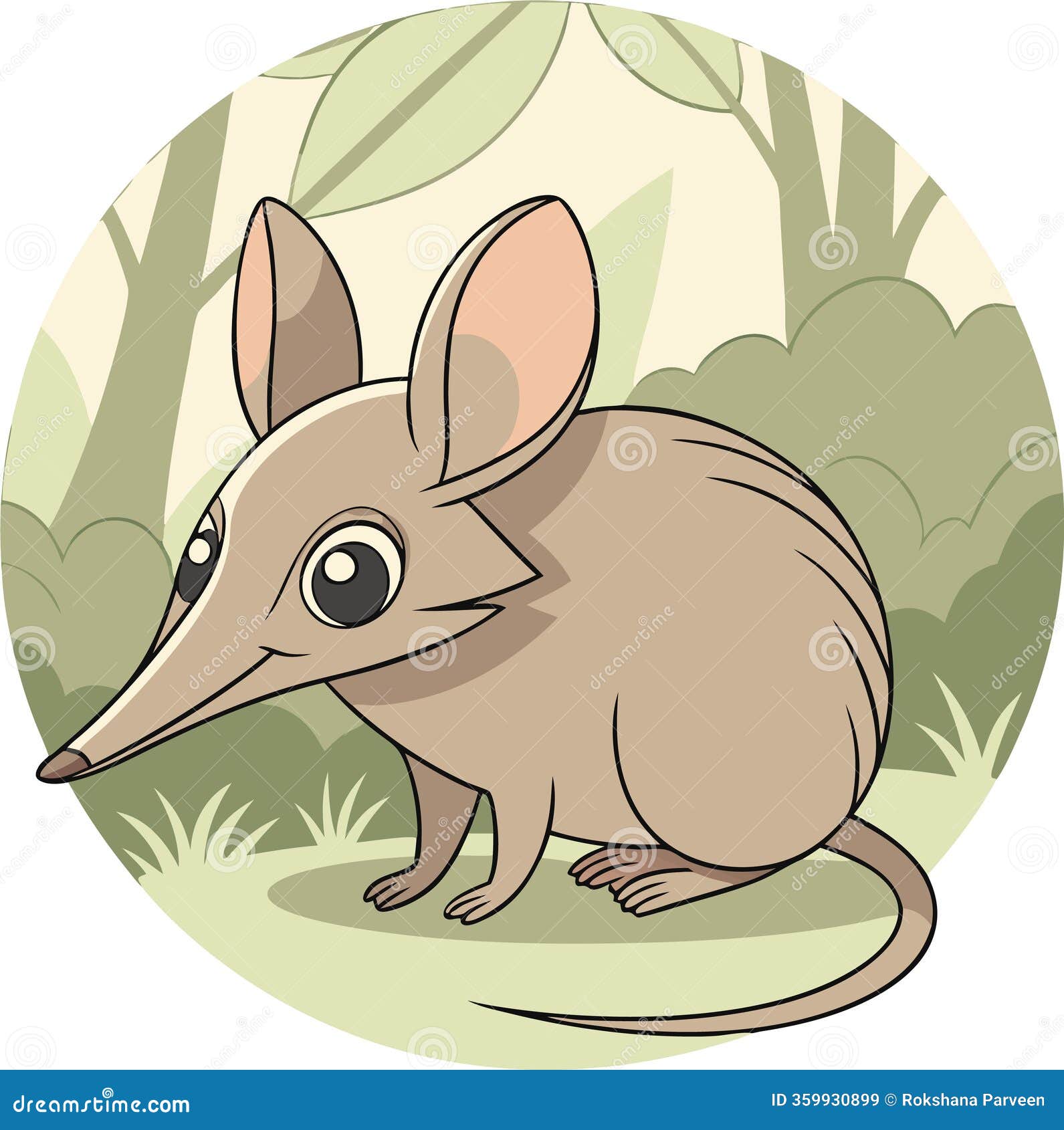 Elephant Shrew, Full Body Realistic Image Stock Illustration ...