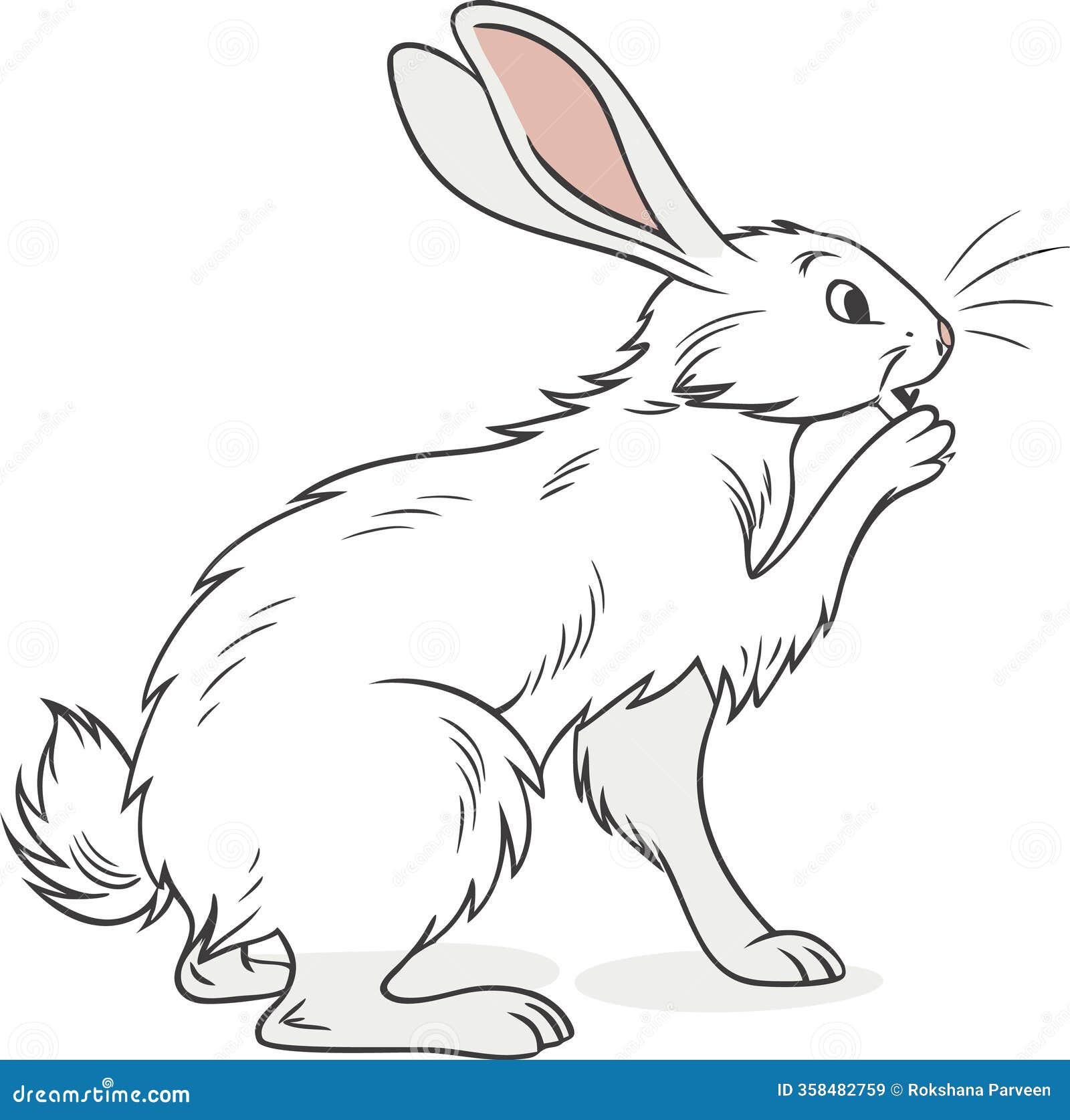 Rabbit , Full Body Realistic Image, White Background Stock Illustration ...