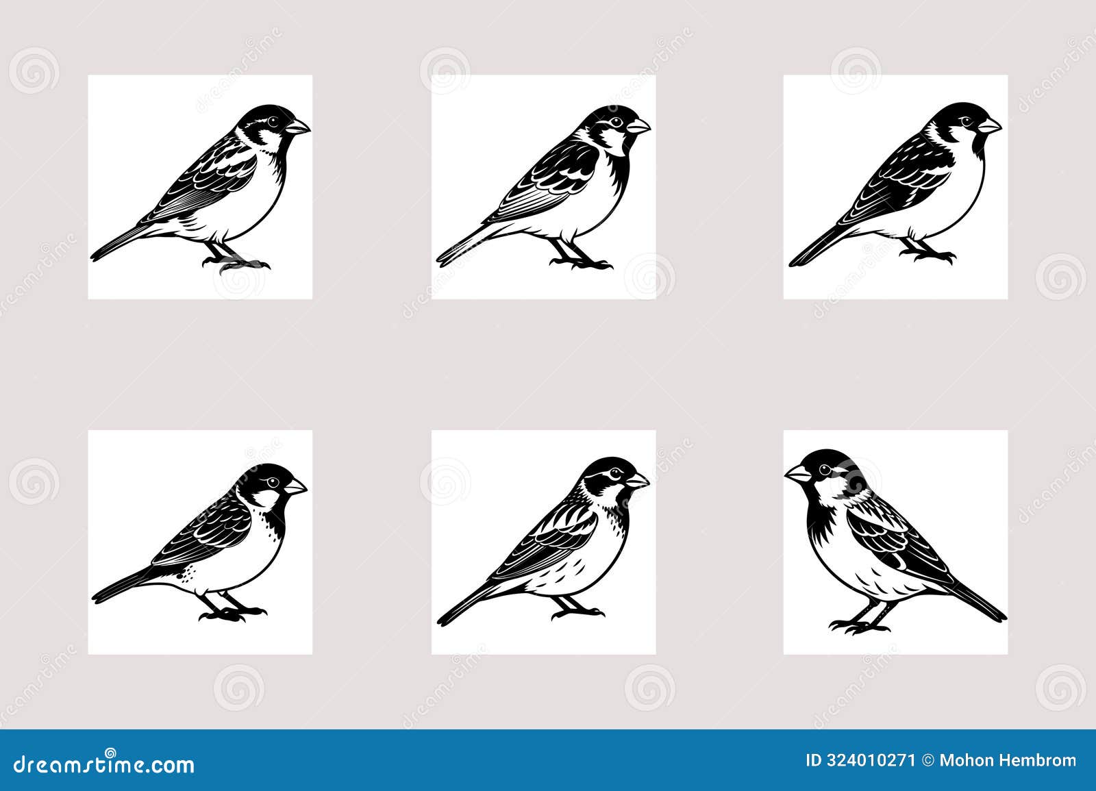 A Realistic, Full-body Image of a Sparrow. Stock Vector - Illustration ...