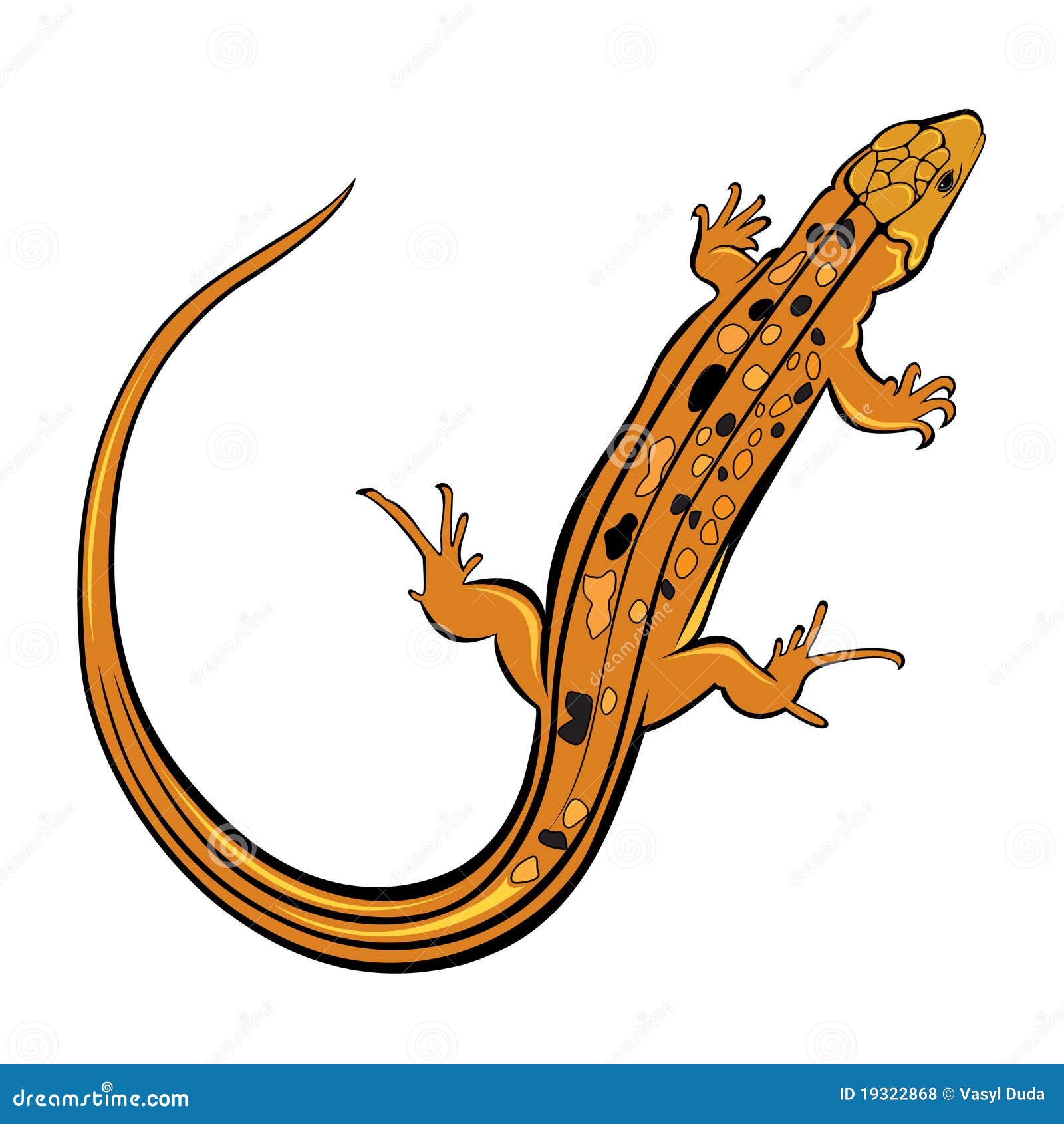 How To Draw A Yellow Spotted Lizard From Holes at Andrea Rumfelt blog