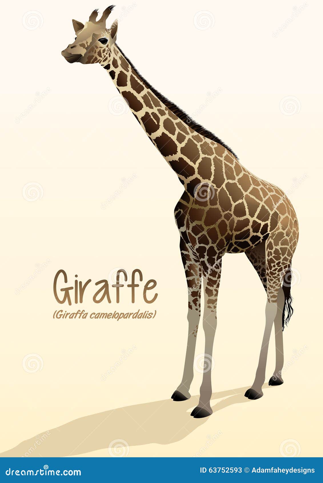 Realistic Giraffe Illustration Standing with Shadow Stock Vector ...