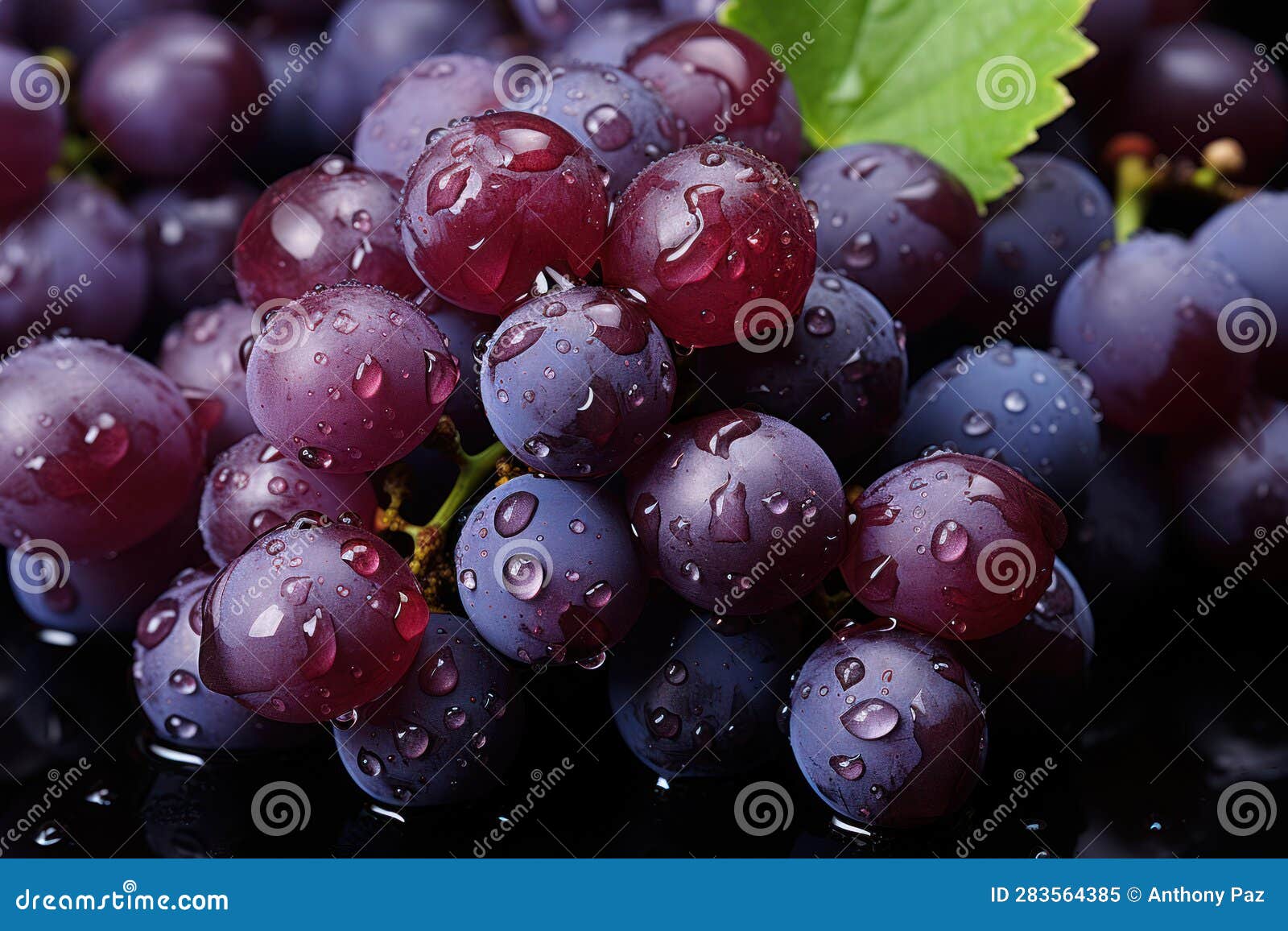 Realistic Grapes: Captivating Image of Freshly Picked Grapes ...