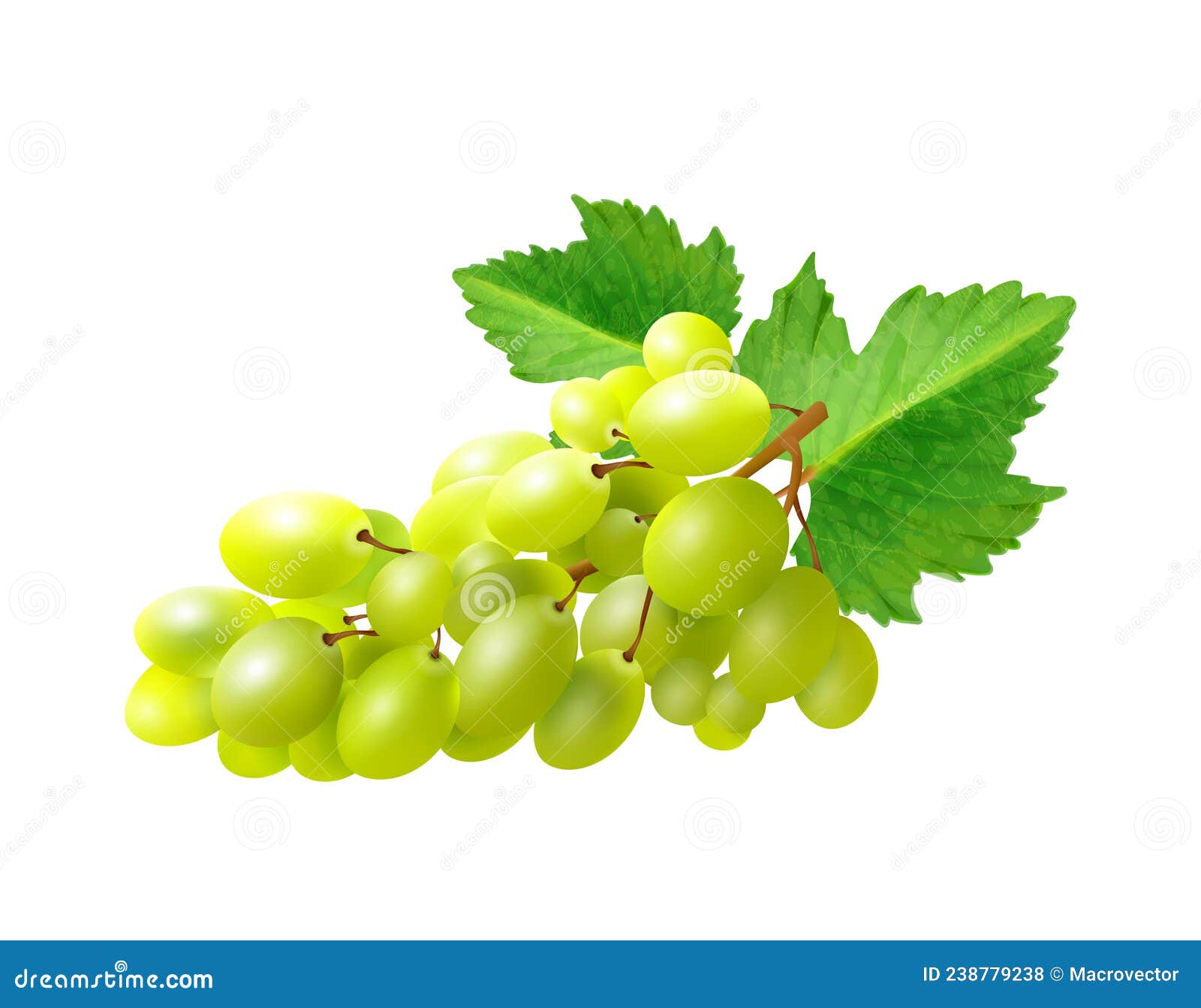 Realistic Grapes Illustration Stock Vector - Illustration of leaves ...