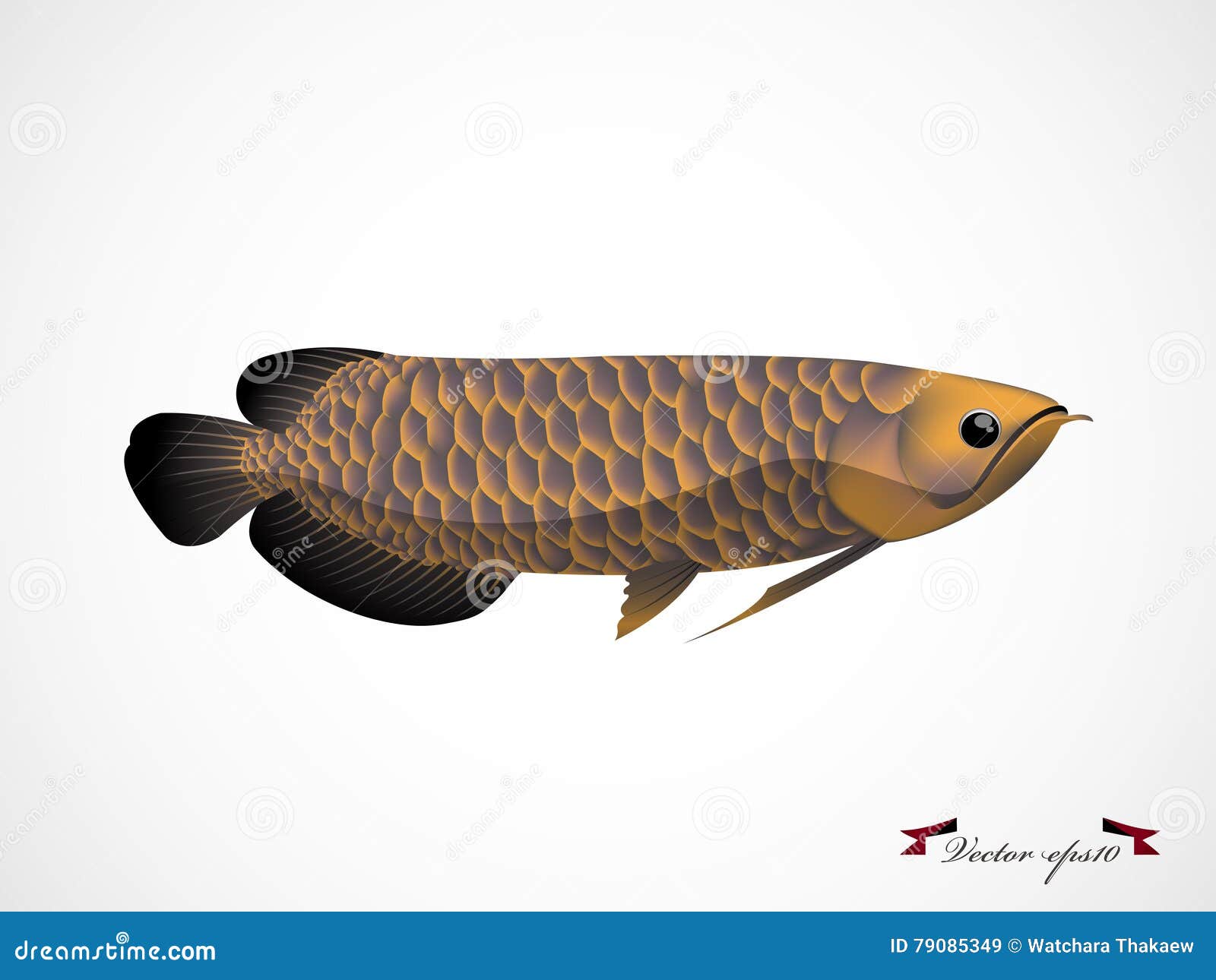 Realistic Graphic Design Vector of Arowana Fish Stock Vector ...