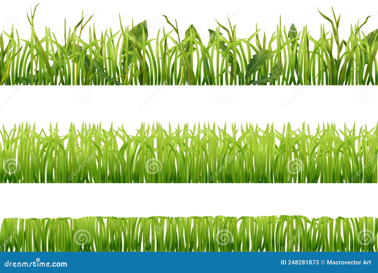Realistic Grass Borders Set Stock Vector - Illustration of ecology ...