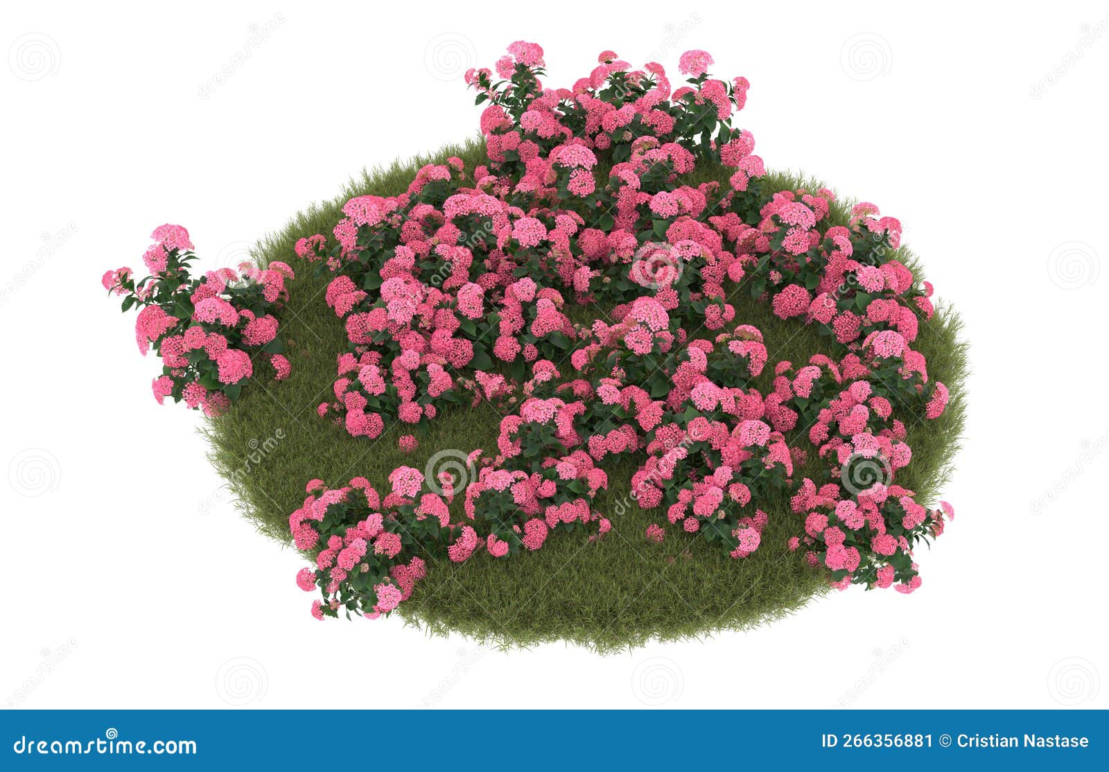 Realistic Grass Isolated on Background. 3d Rendering - Illustration ...
