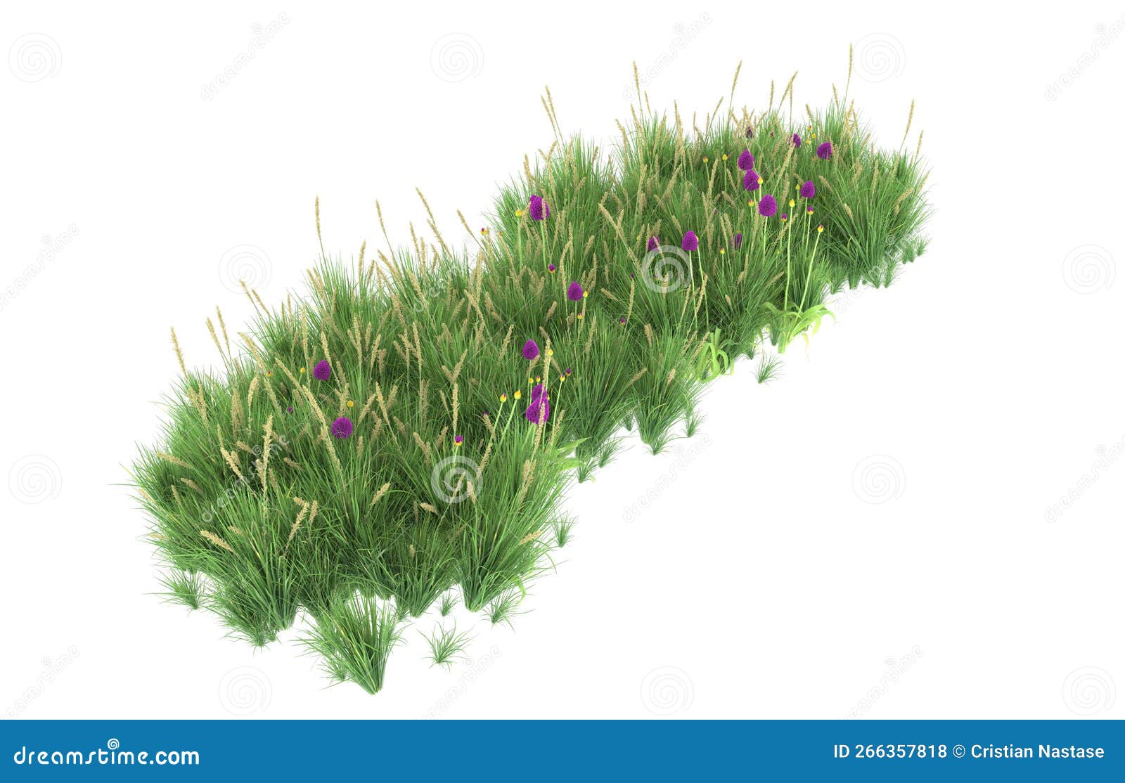 Realistic Grass Isolated on Background. 3d Rendering - Illustration ...
